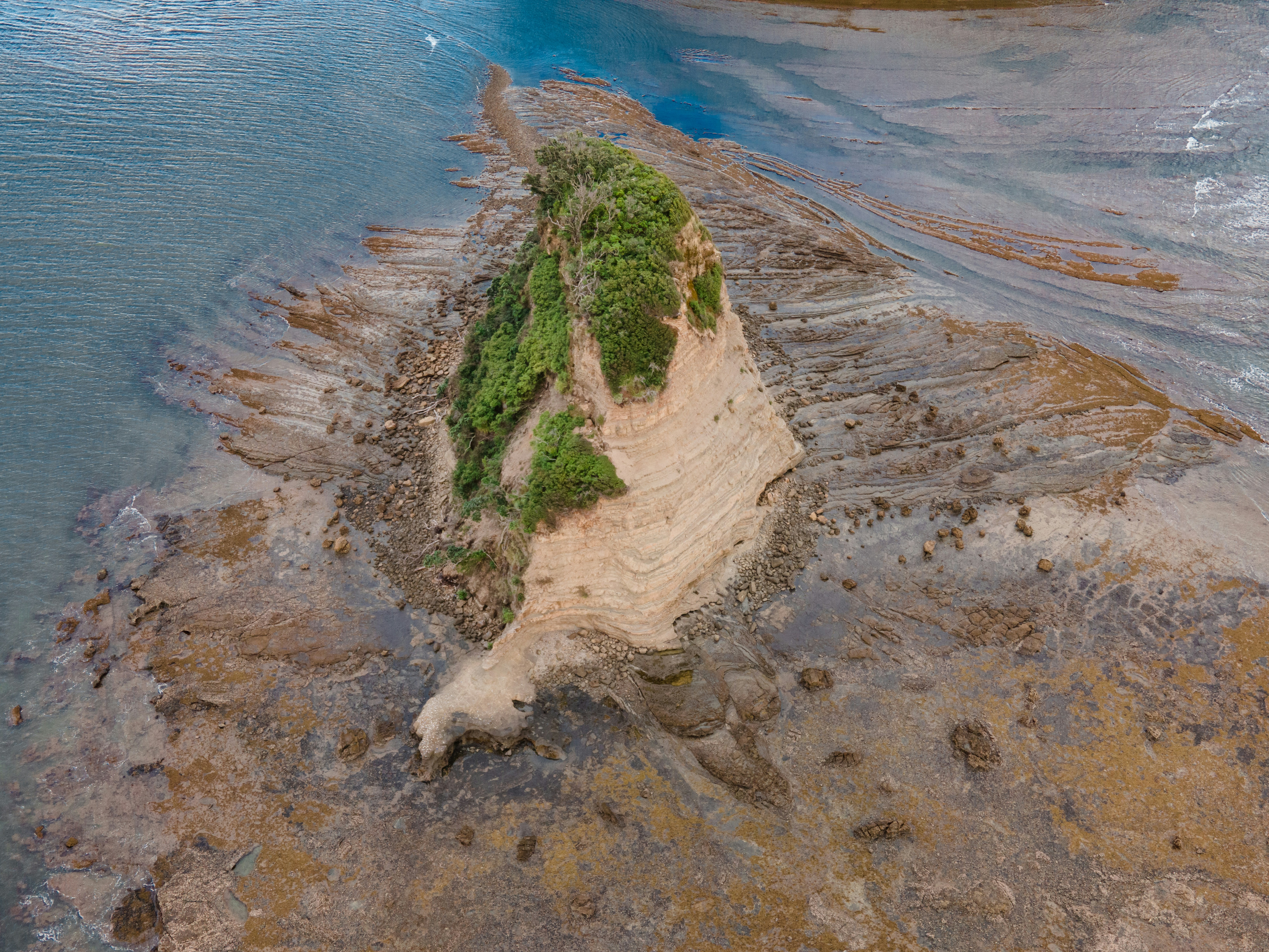 Green Crowned Promontory Rising from Tidal Strata