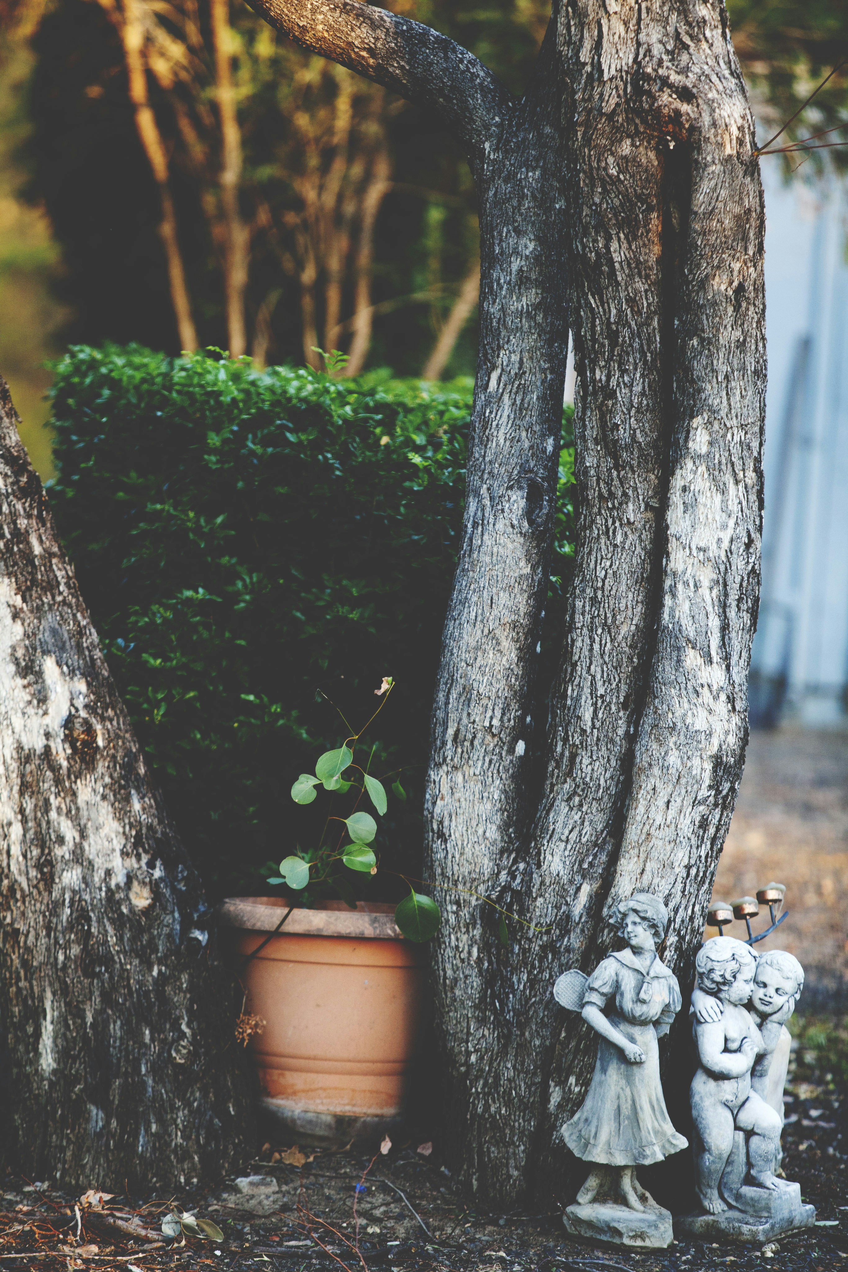 Photo by Natalia Fogarty with Canon EOS 5D Mark II