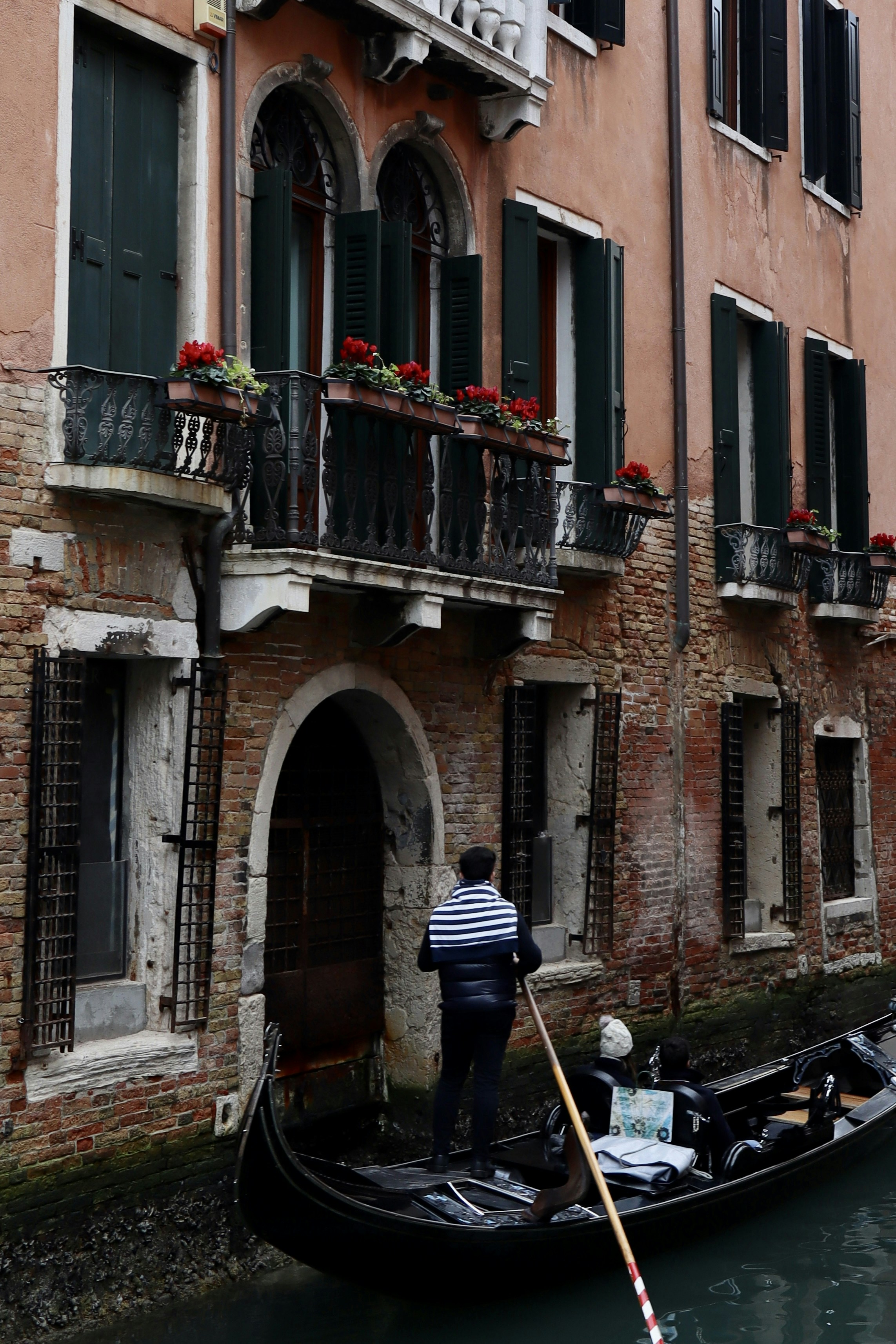 Ashley Ross (@bigarnative) | Unsplashフォトコミュニティ