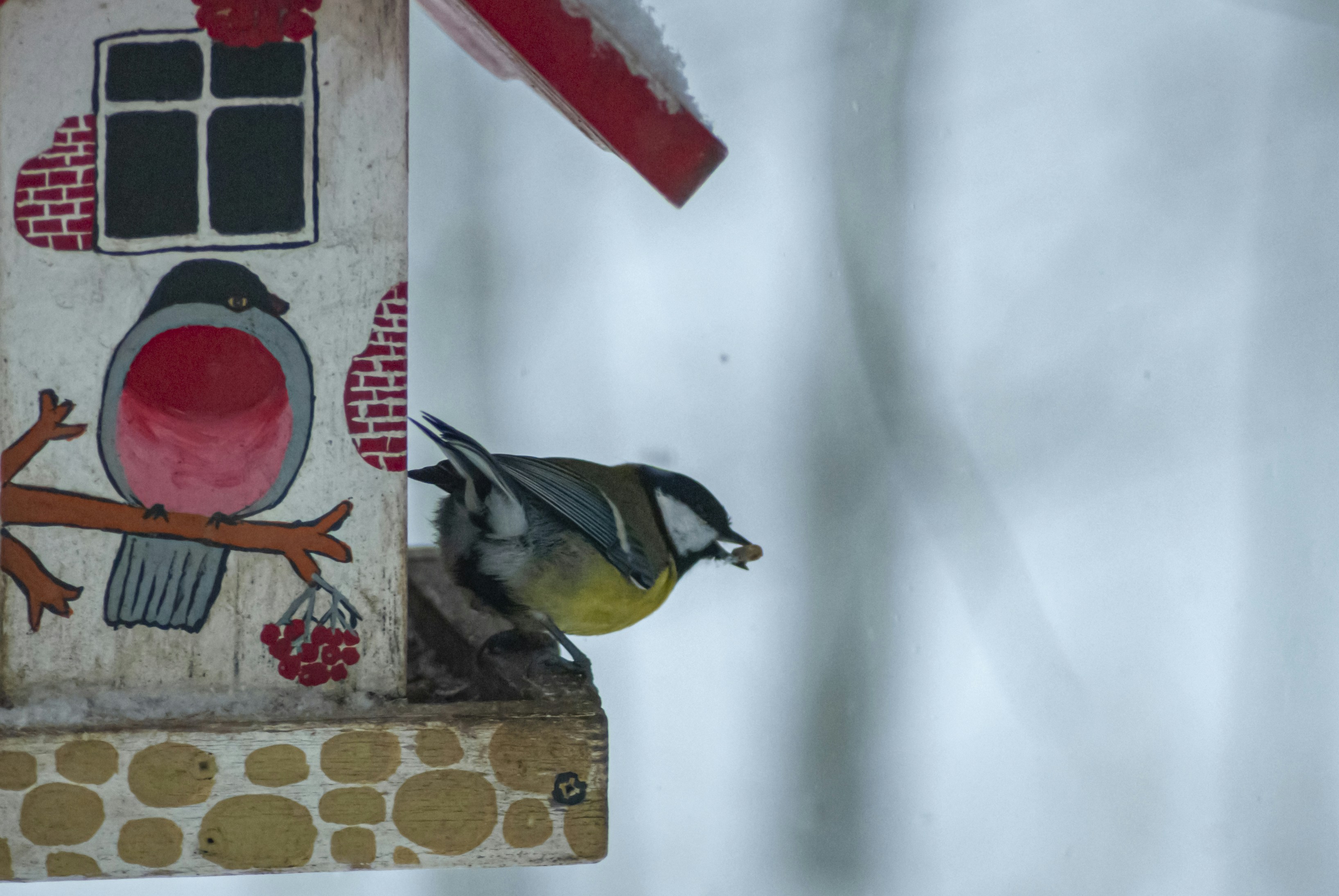 A tit sit on a near bird feeder on a tree