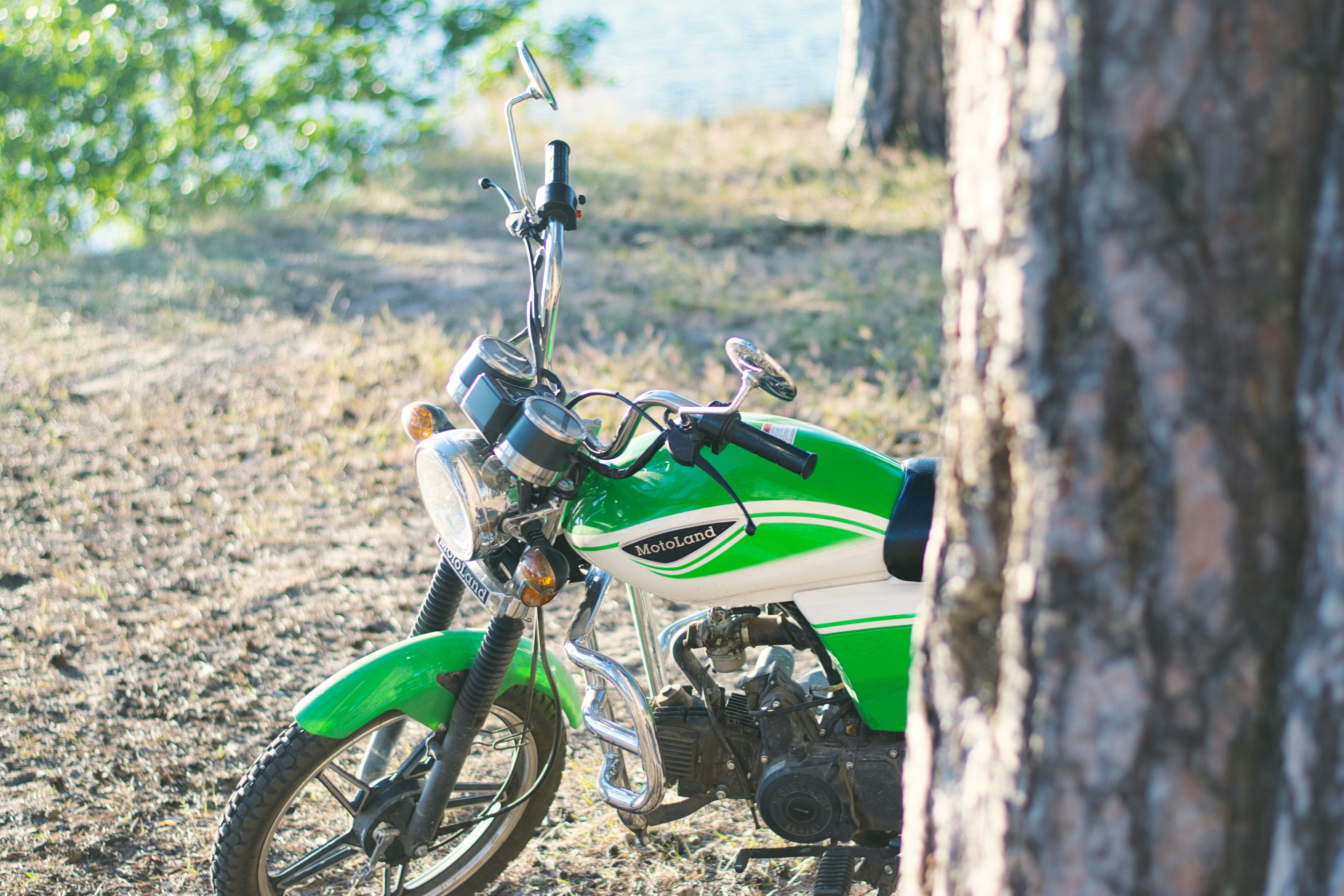 Emerald Classic by the Oak: a sunlit vintage motorcycle resting beside a tree