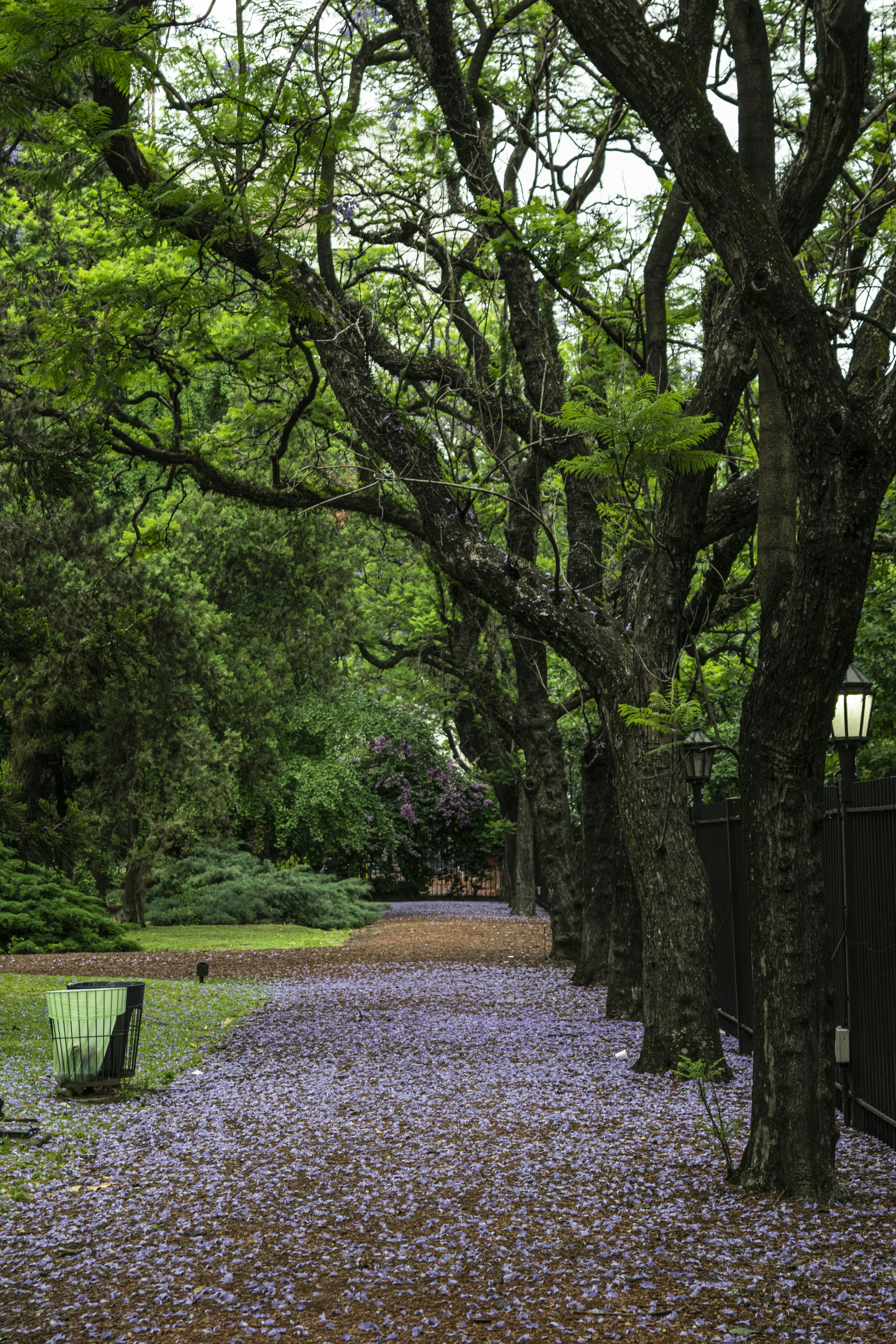 Dylan Diaz (@dylan413) | Unsplash 사진 커뮤니티