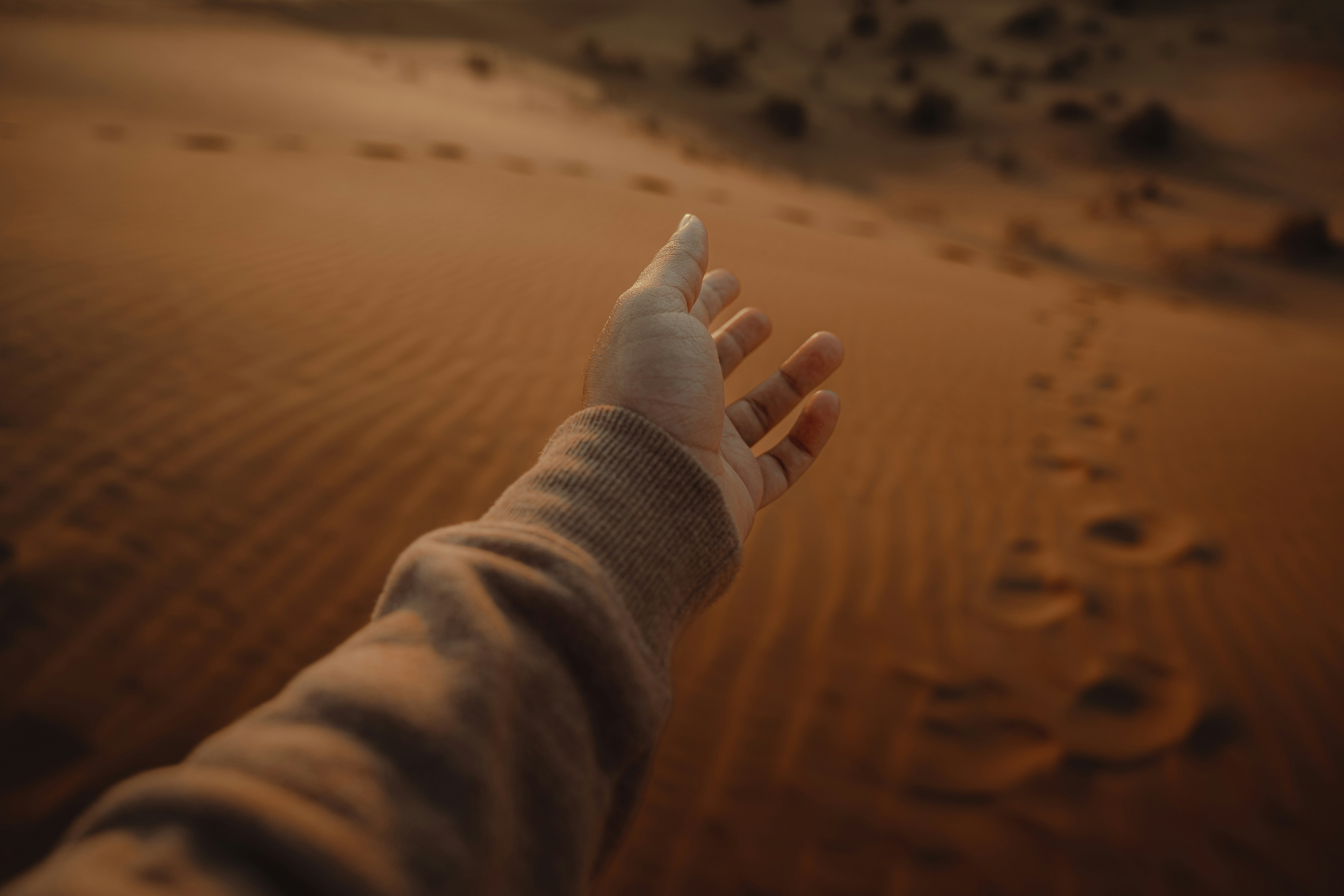 Desert Reach: An Outstretched Hand Brushing Amber Dunes
