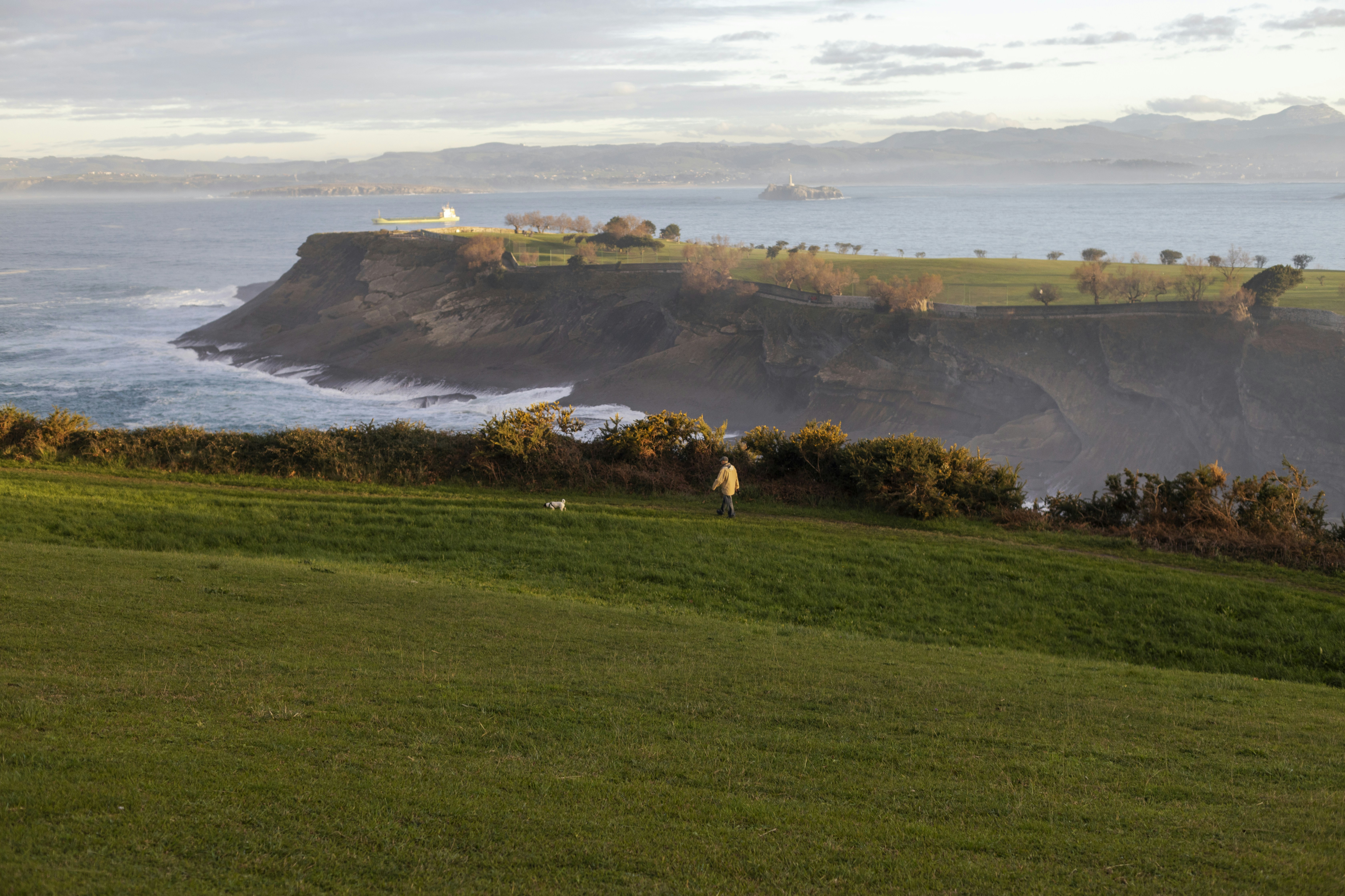 Lighthouse on the Cliff's Crown: Pasture, Sheep, and Sea