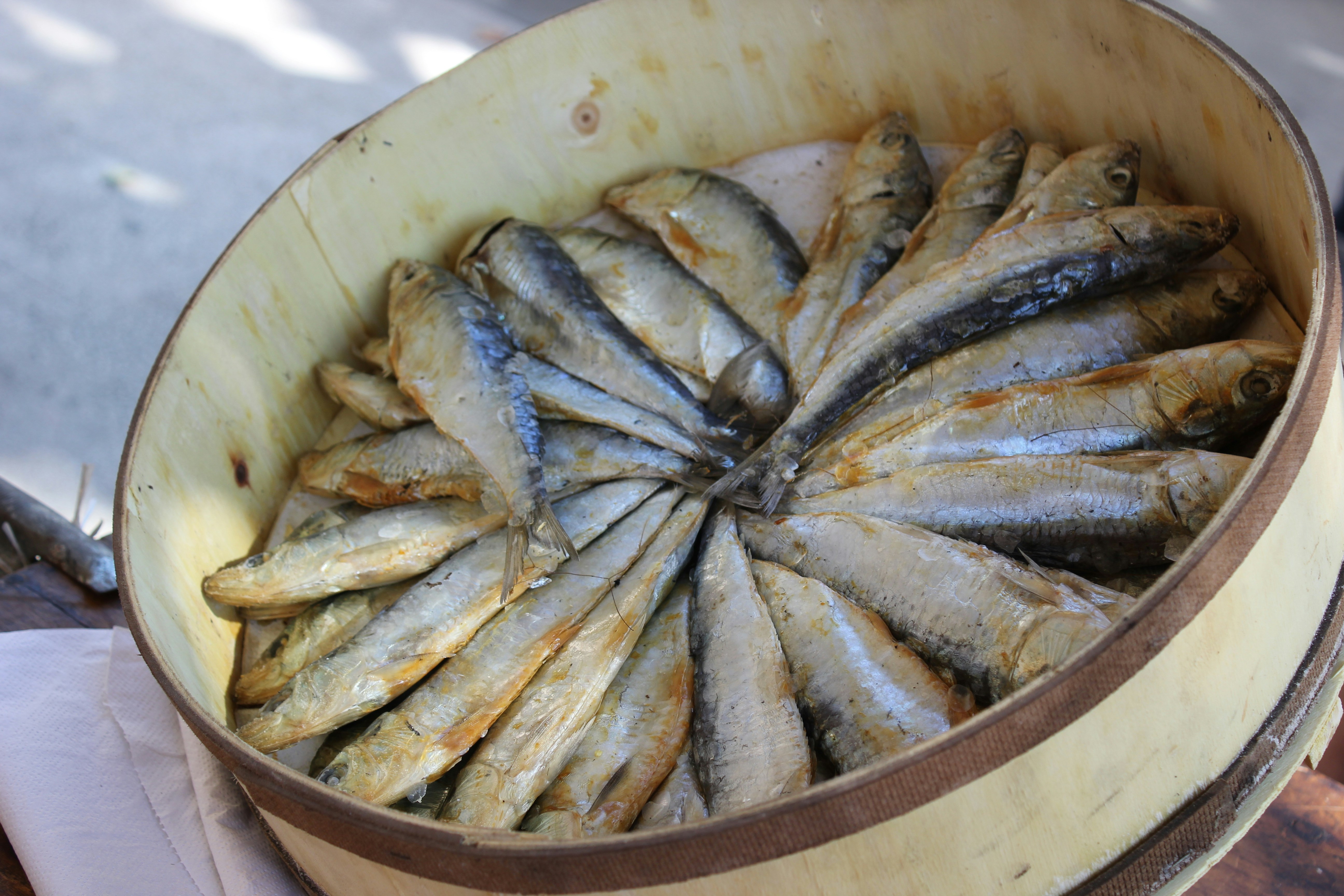 Photo by Anthony Camp with Canon EOS 550D