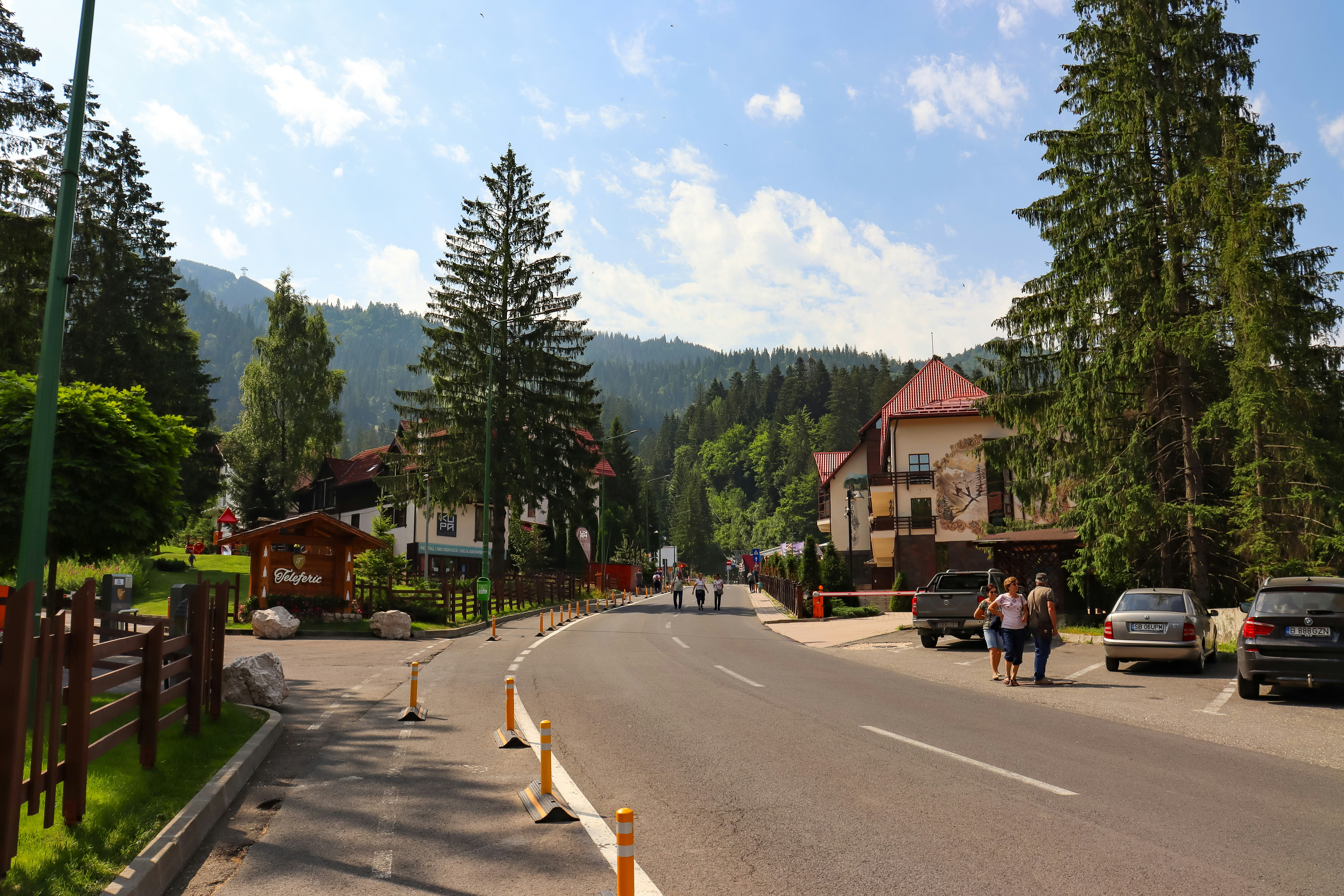 Alpine Main Street: A Sunlit Curve Through a Pine-Front Village