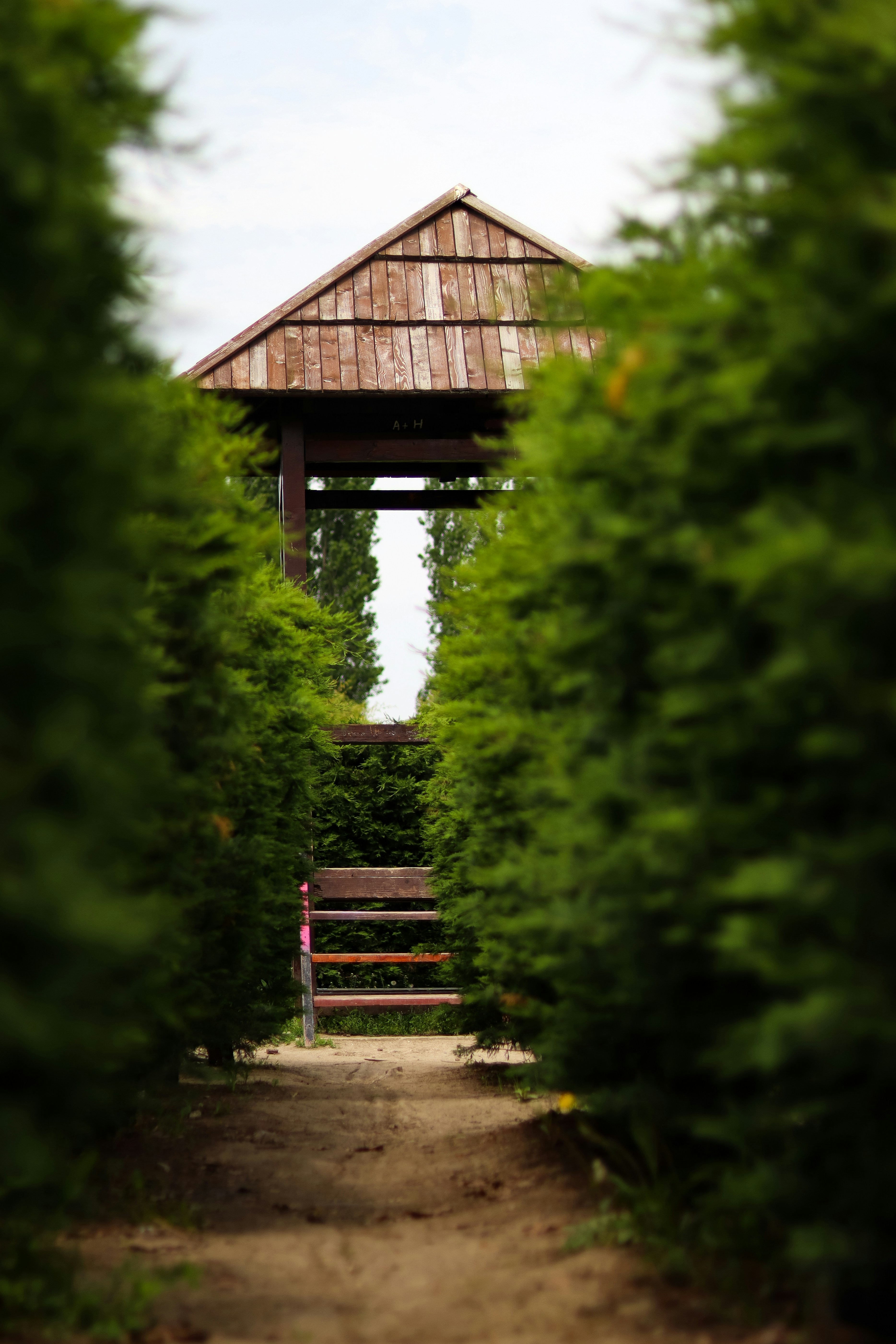 Gateway Through a Green Corridor: A Wooden Arch Framed by Tall Hedges