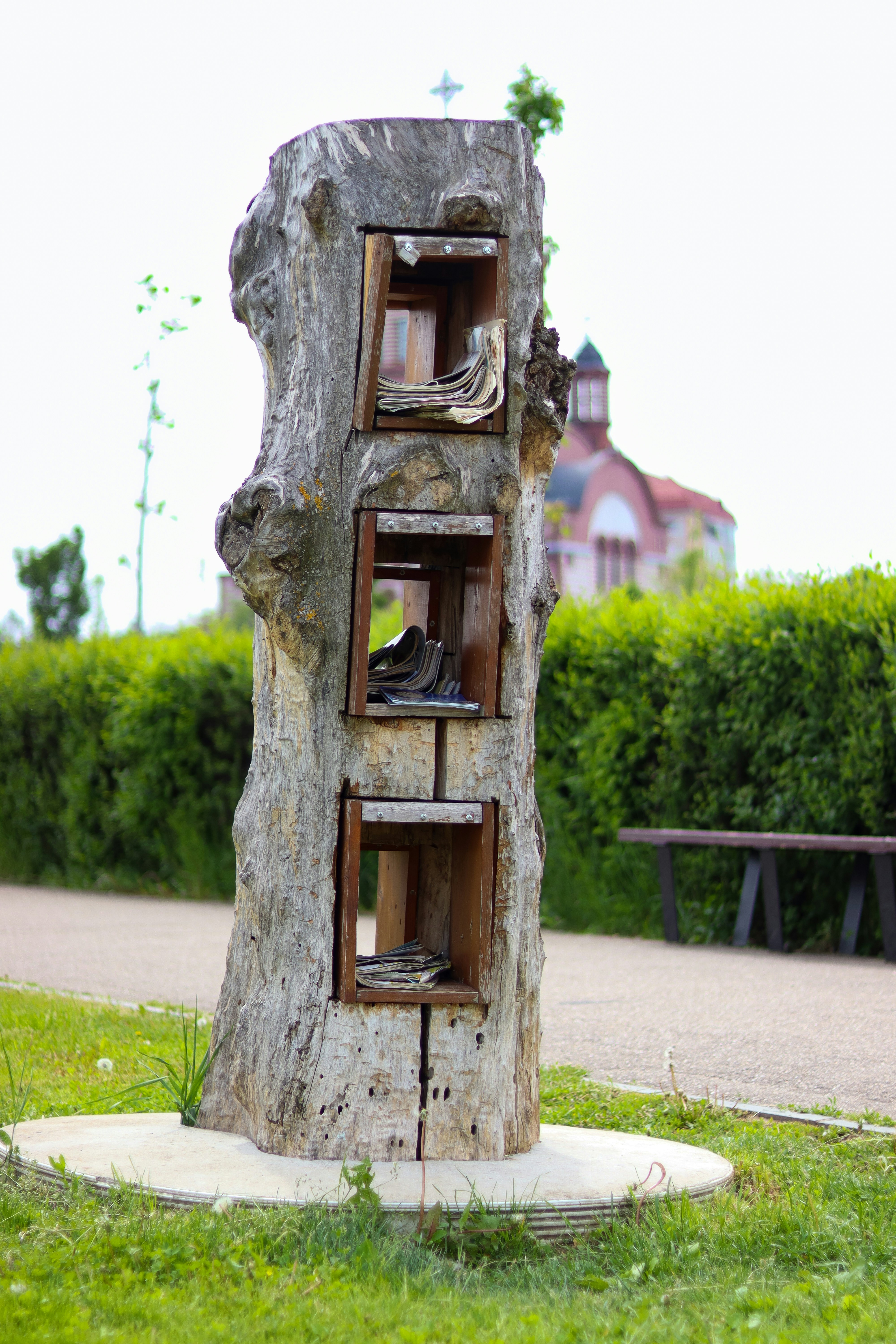 A tree stump with a shelf of shoes on it photo – Free Image on Unsplash