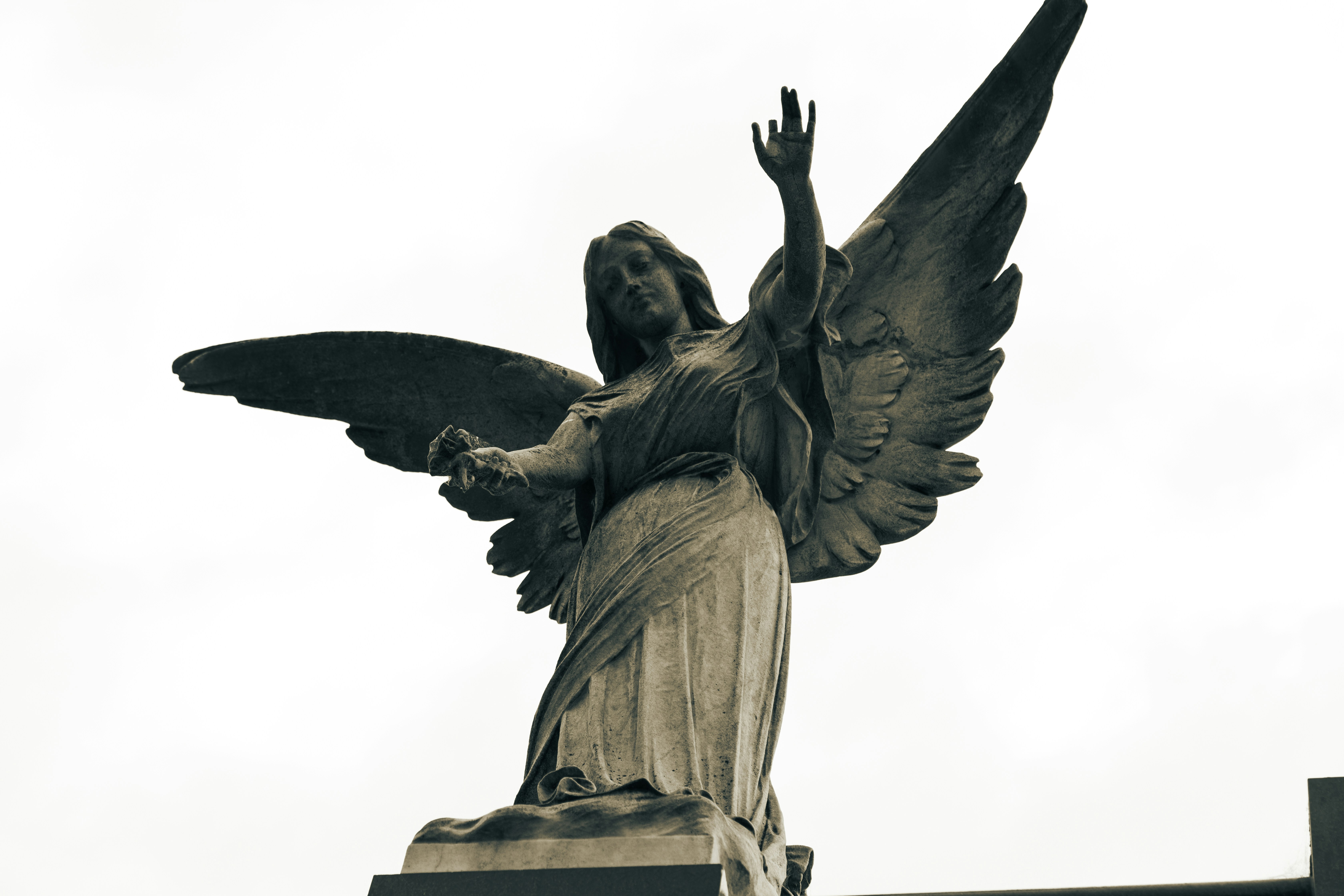 Una estatua de un ángel con las alas extendidas foto – Imagen gratuita ...