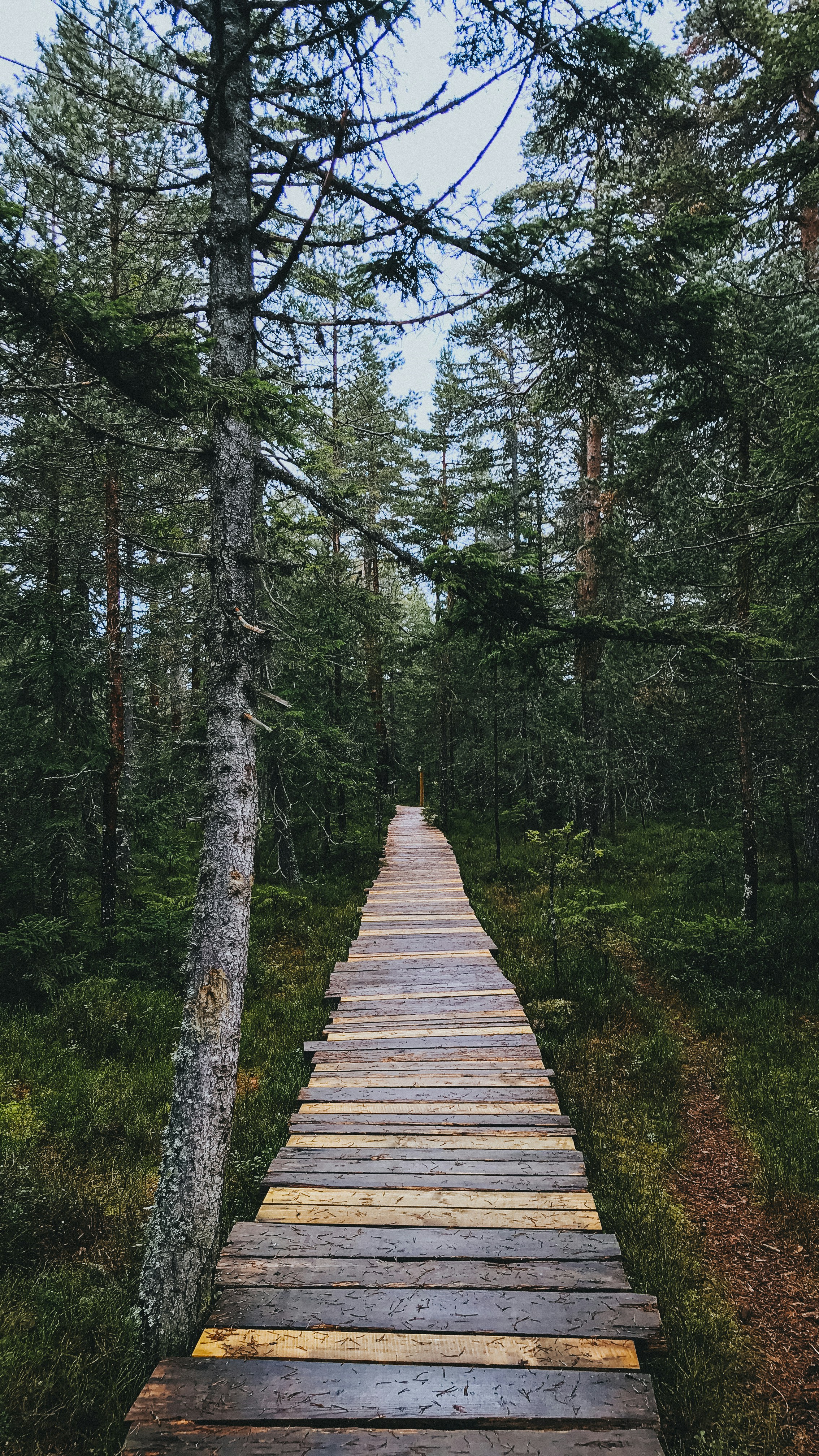 Photo by Bereczki Domokos with Apple iPhone 7