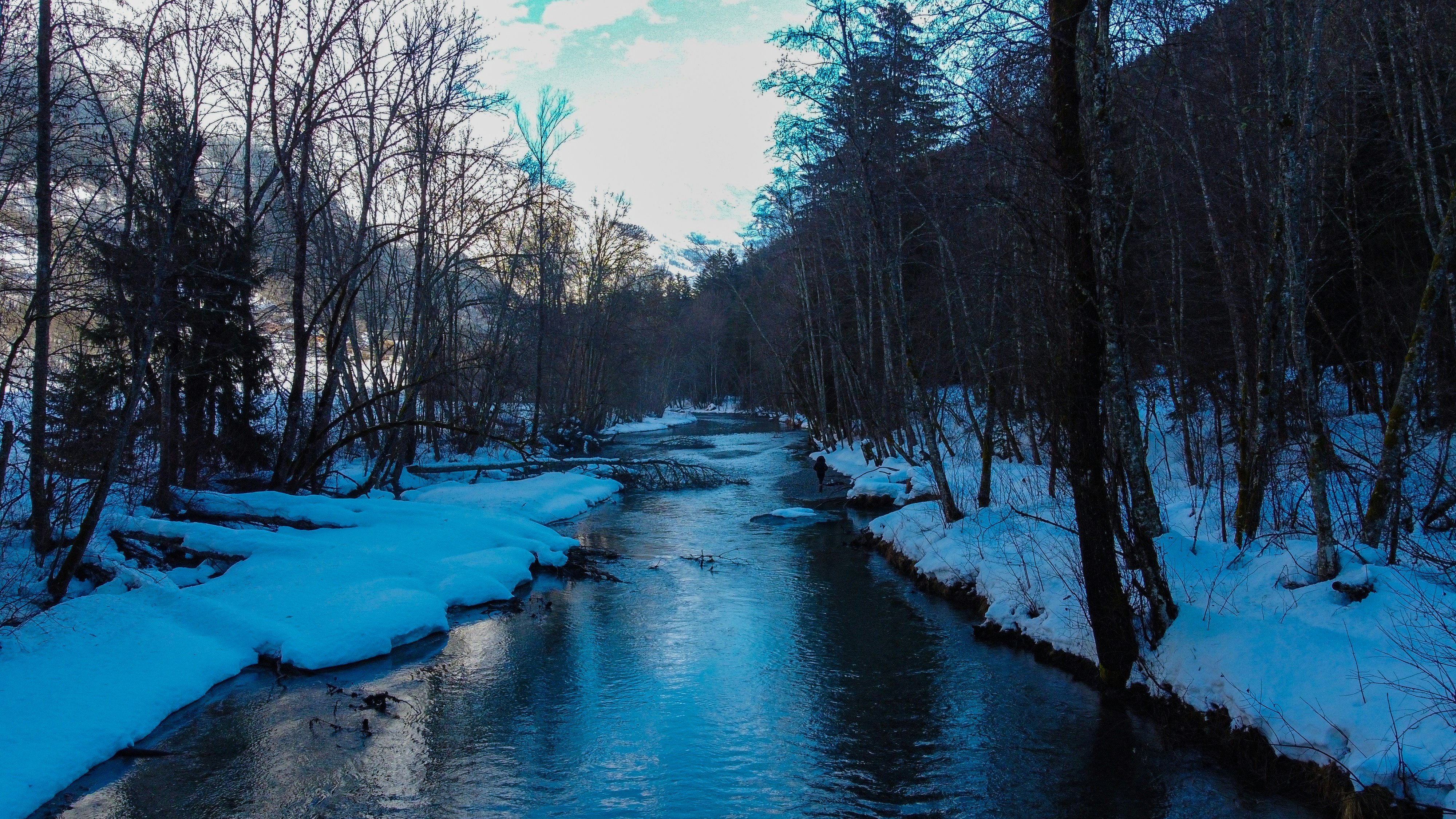 Frozen Vein: A Snowbound River Winding Through a Silent Boreal Forest