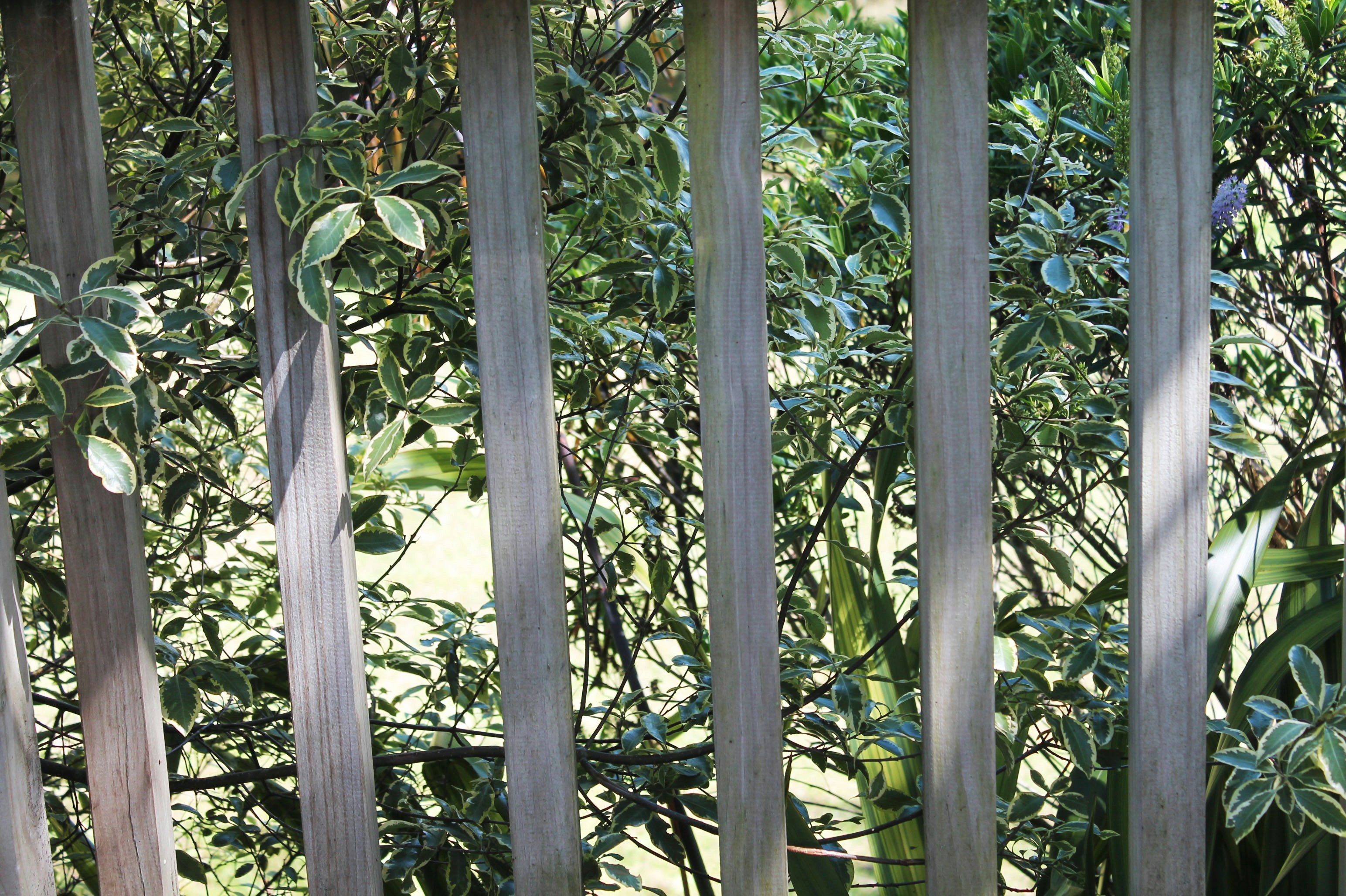 Backyard Fencing Made Simple: Your Comprehensive Guide