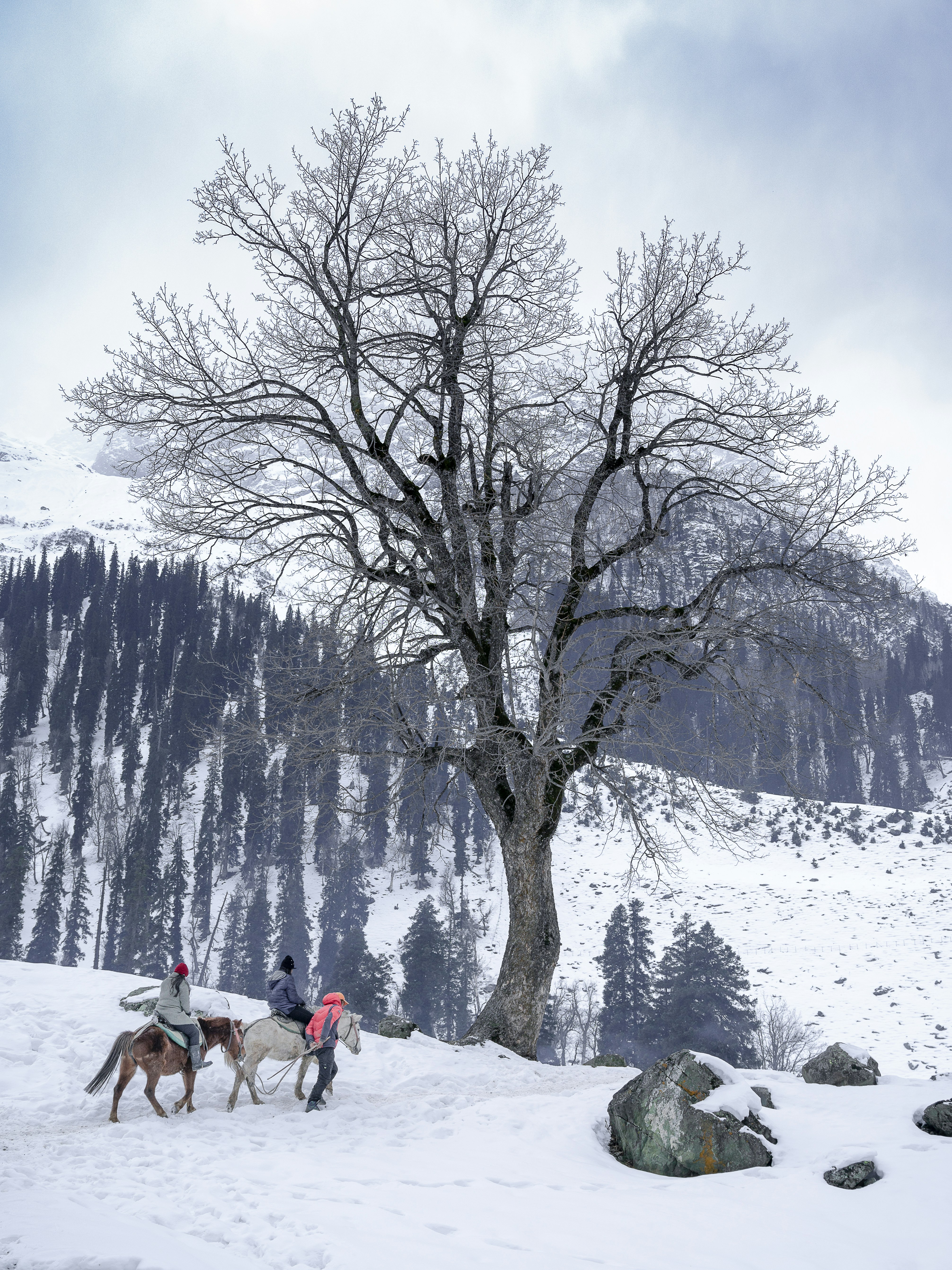 Two riders on horseback traverse a snowy landscape under a bare tree, surrounded by majestic mountains. The scene evokes a sense of tranquility and adventure.