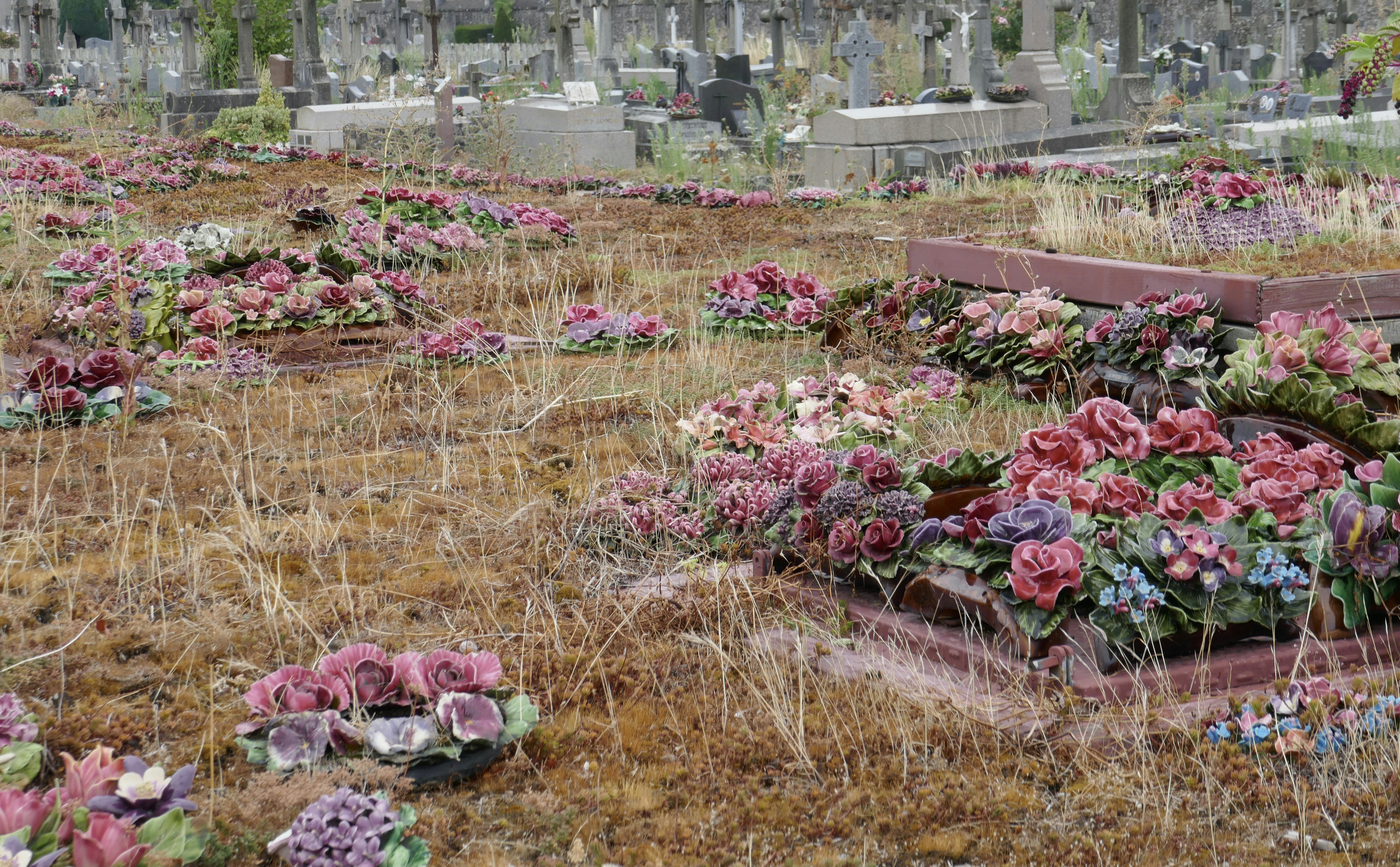 Artificial flowers adorn weathered graves in an overgrown cemetery, symbolizing enduring love and memory amidst neglect.