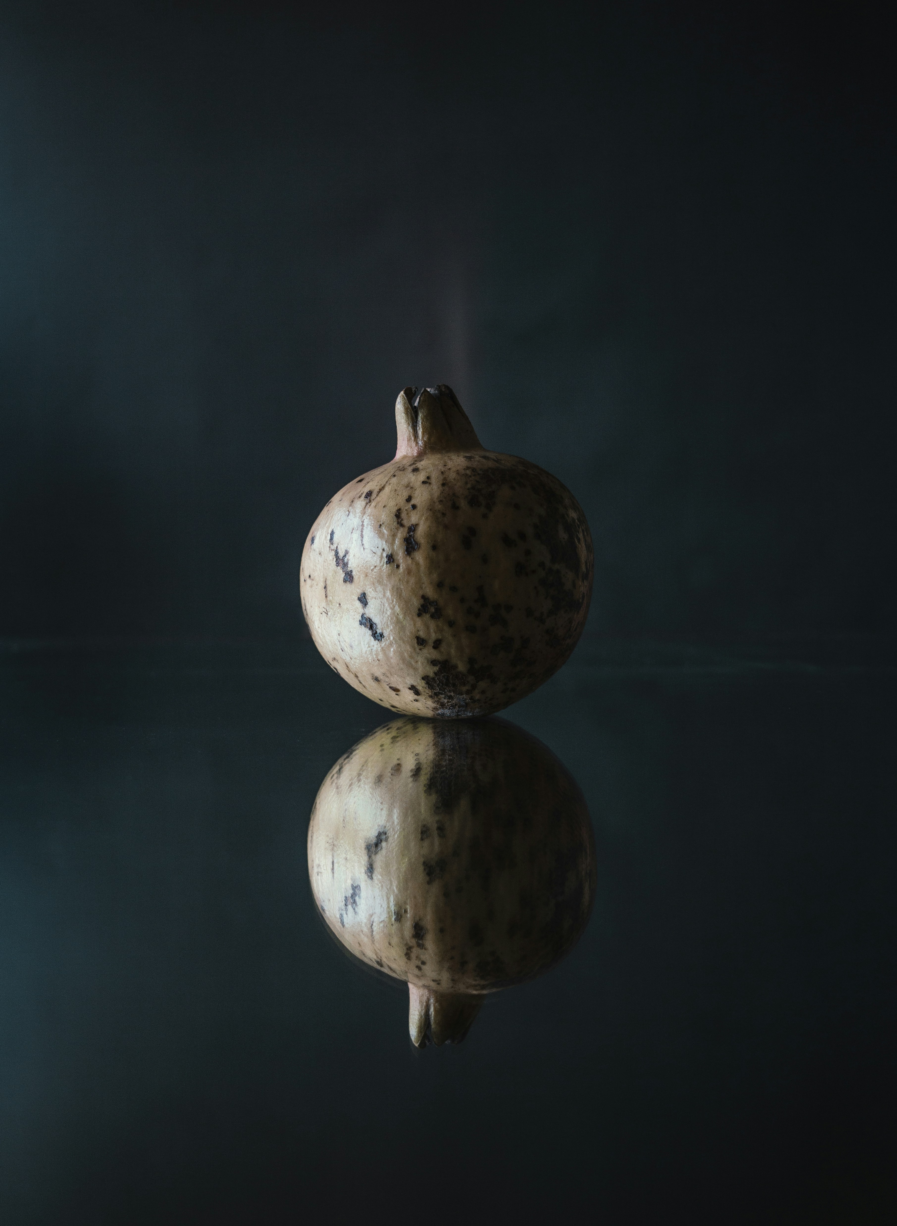 Solitary Pomegranate, Silent Reflection