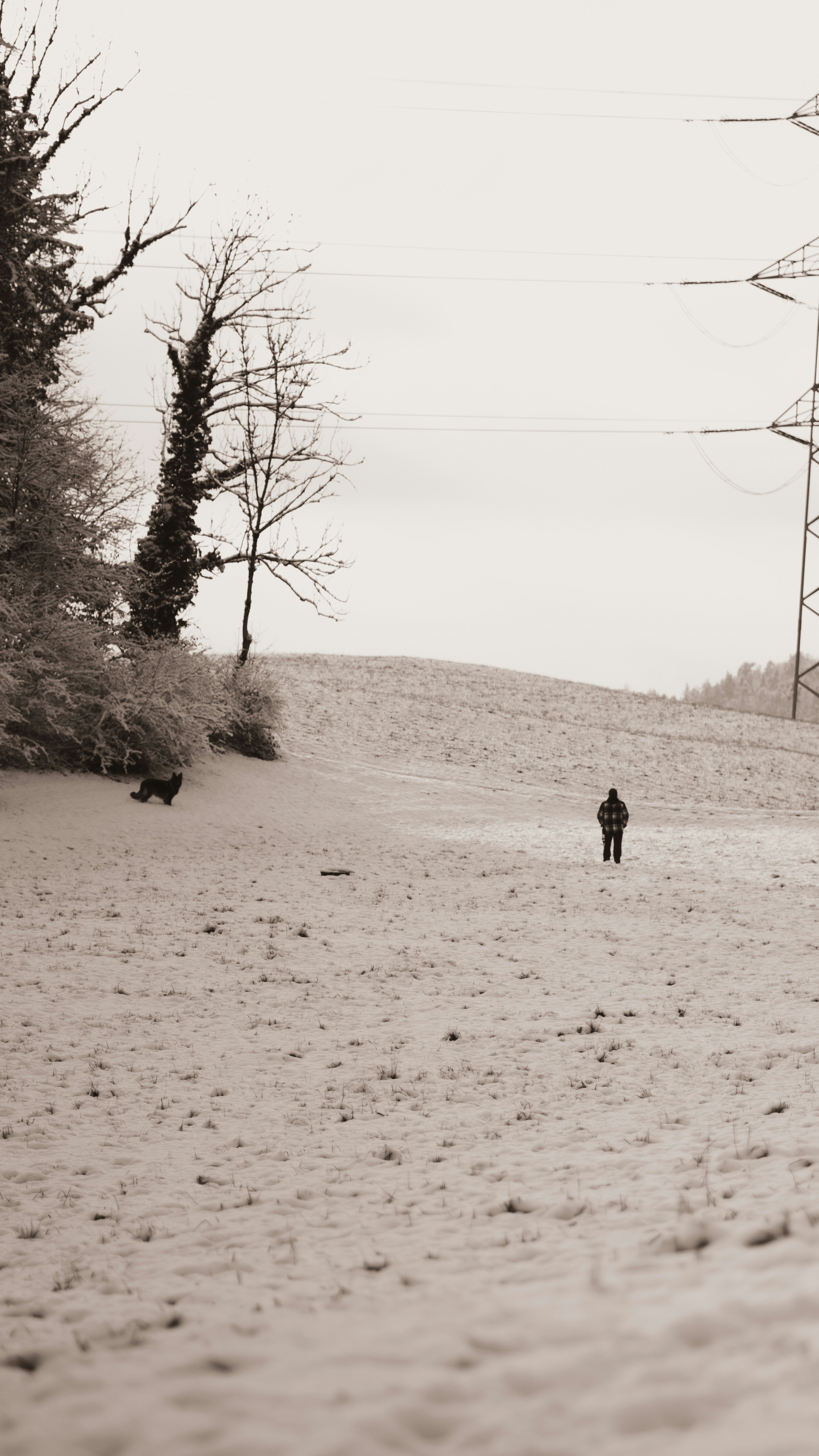 Lone Wanderer in a Snow-Swept Field Beneath Distant Pylons