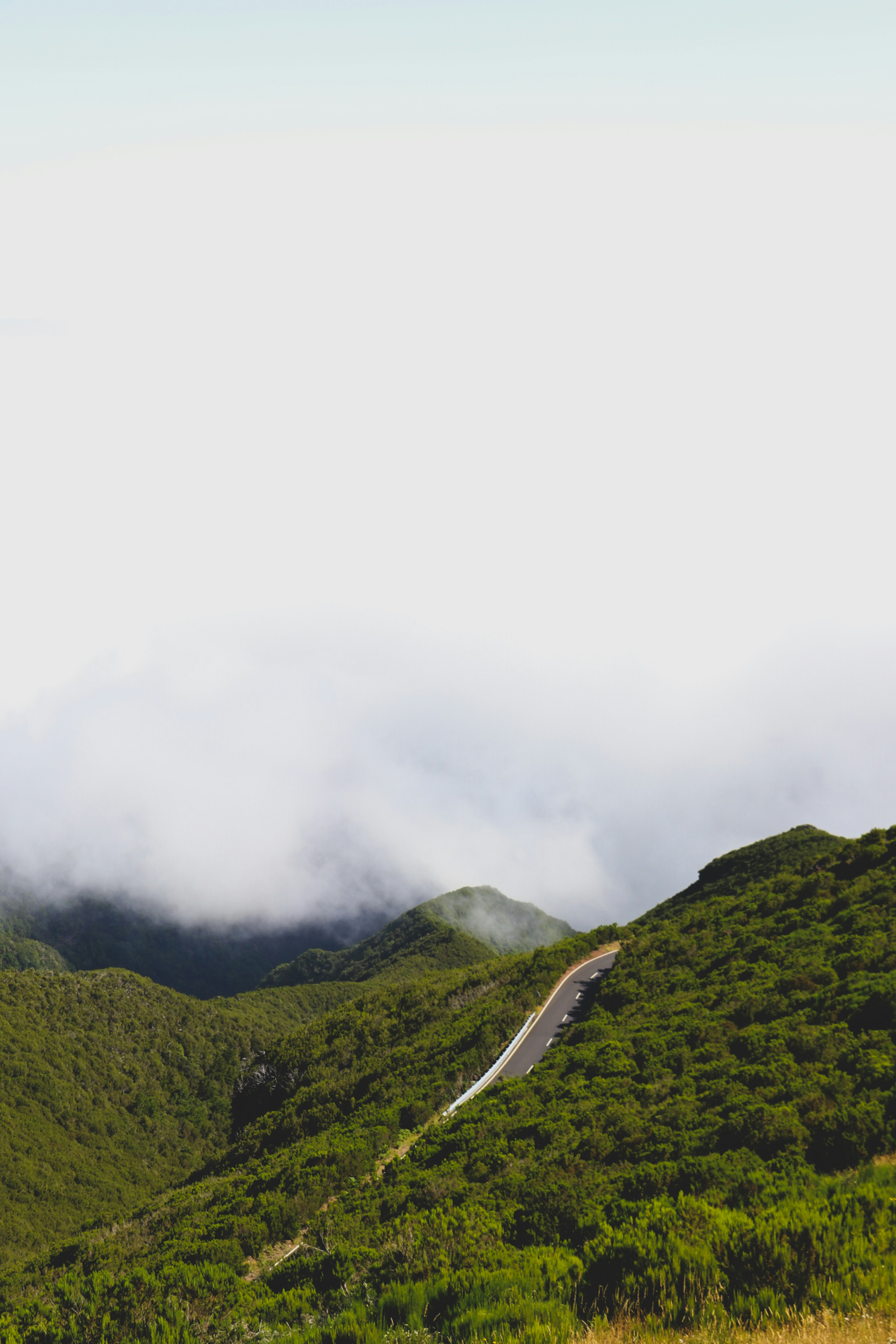Une route traversant une colline verdoyante photo – Photo gratuite sur ...