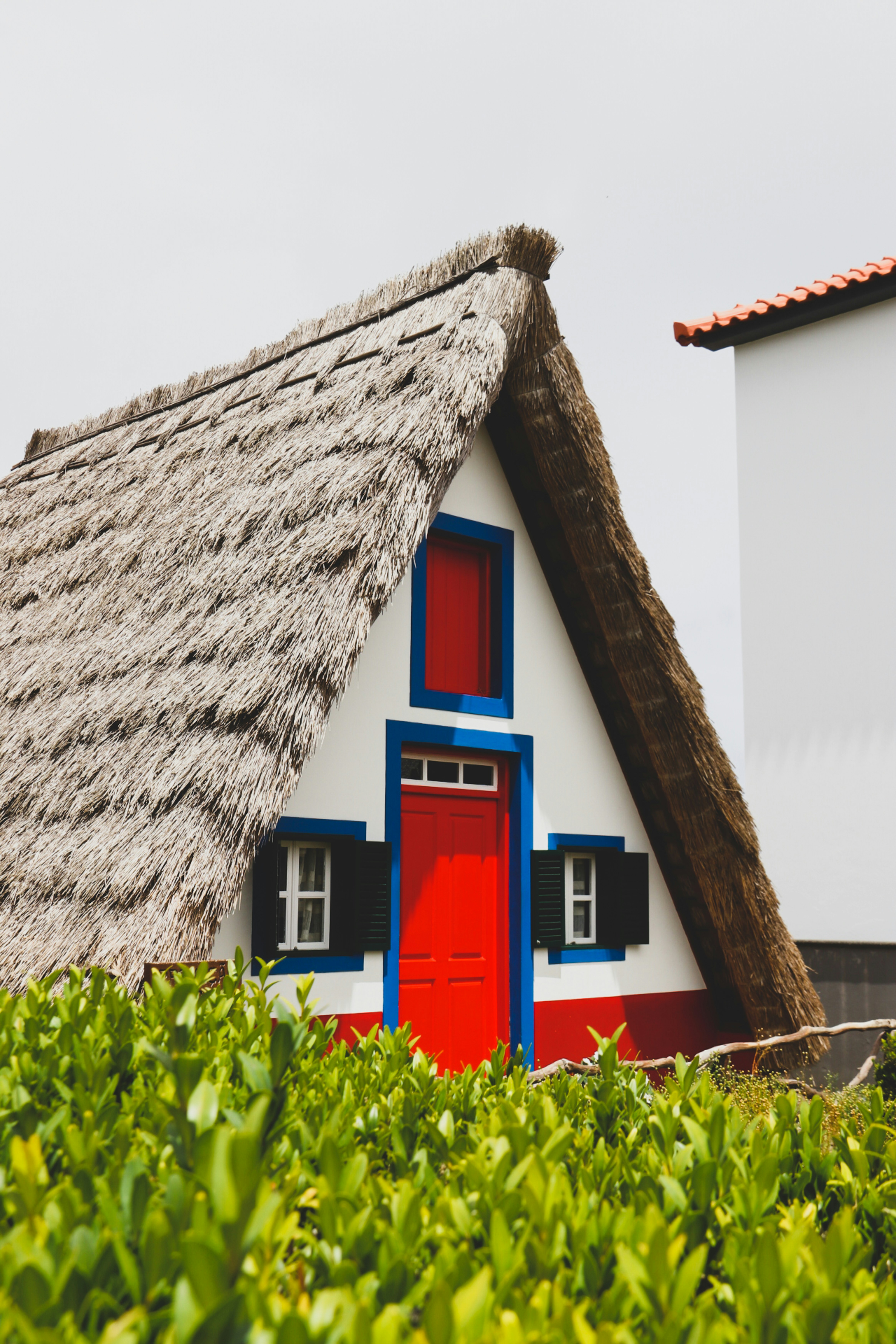 Colorful thatched-roof house with striking red door and blue accents, surrounded by lush greenery.