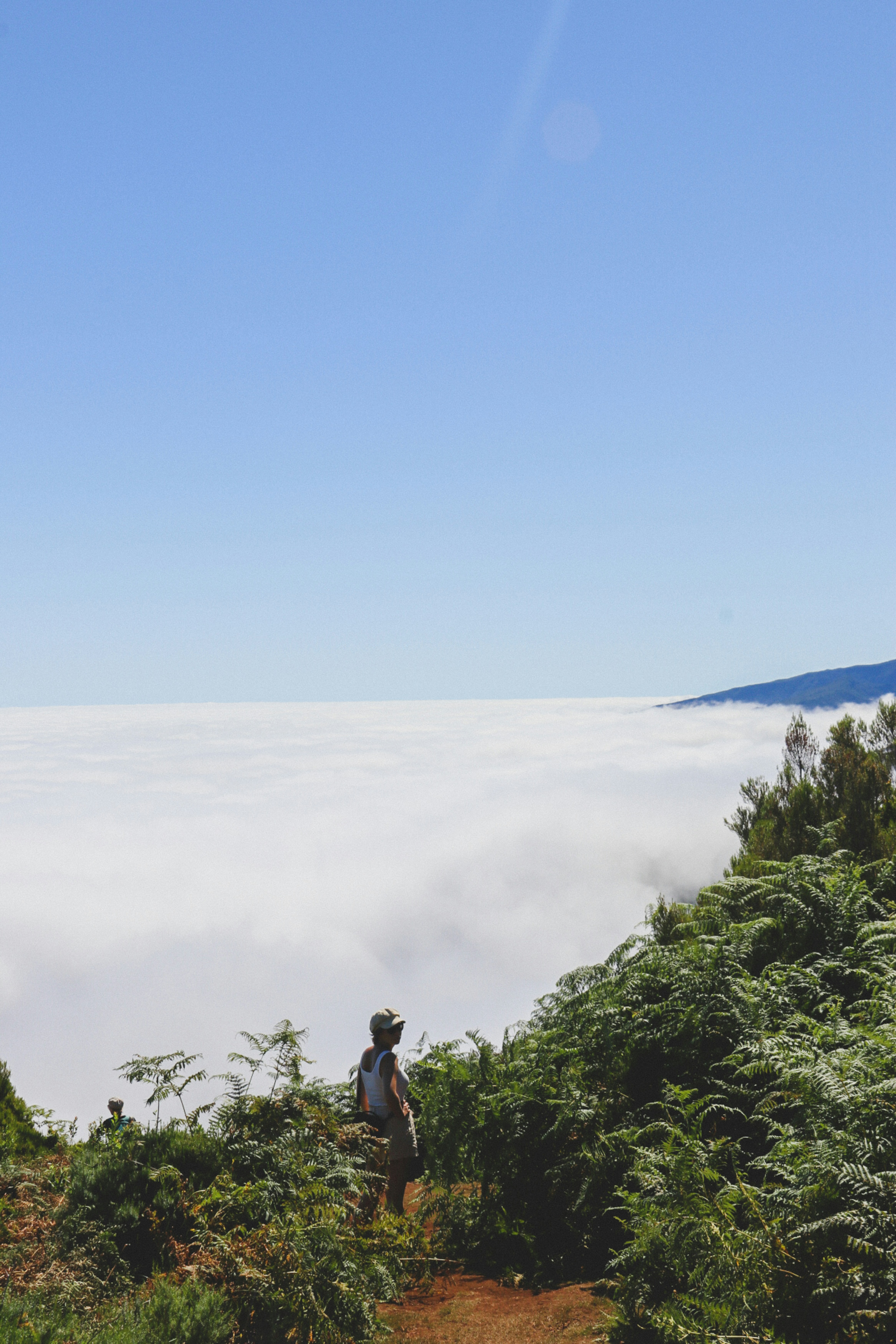 Ridgeline Reverie: A Hiker Above the Sea of Clouds