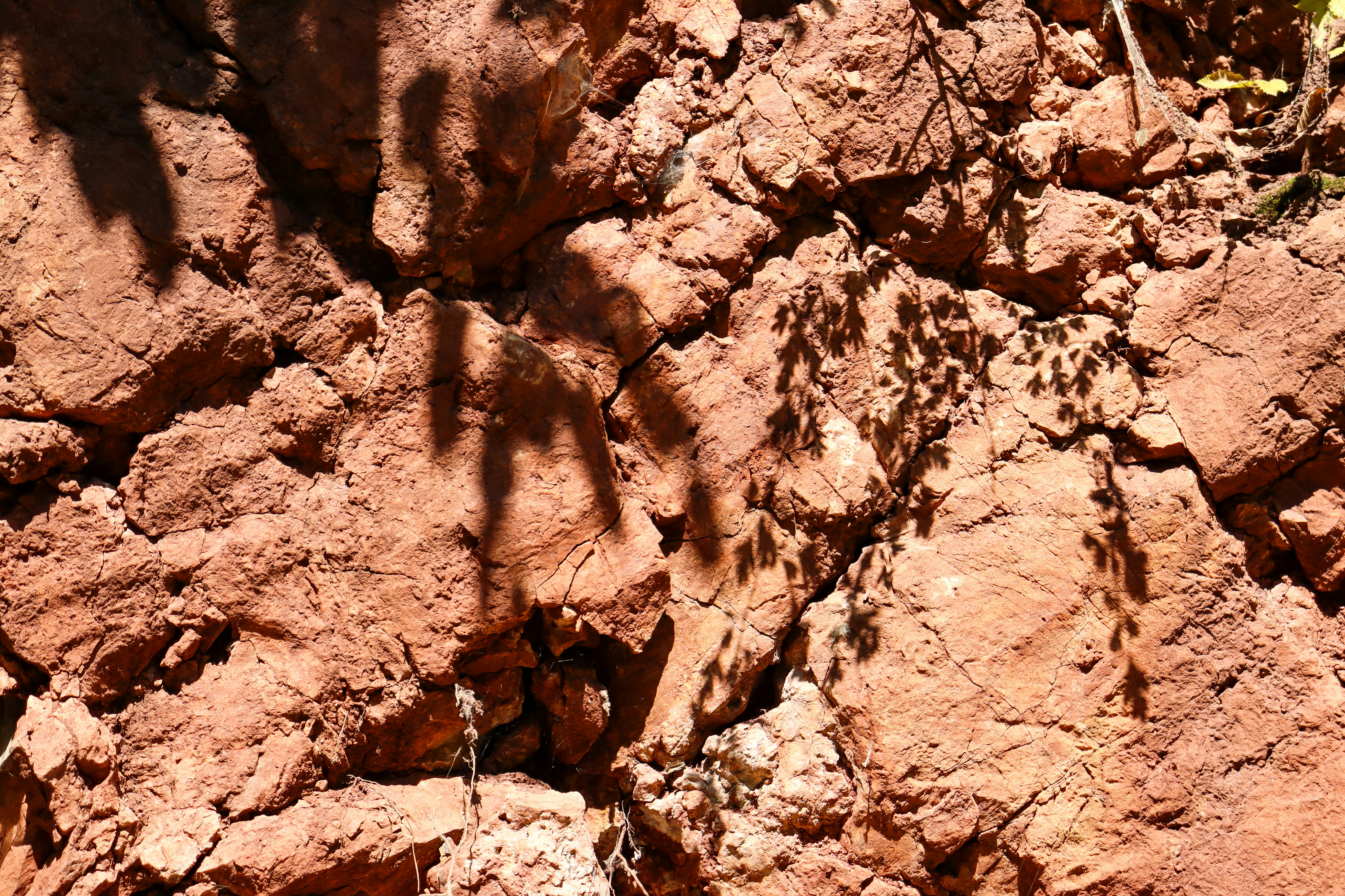 Crimson Earth and Dancing Shadows