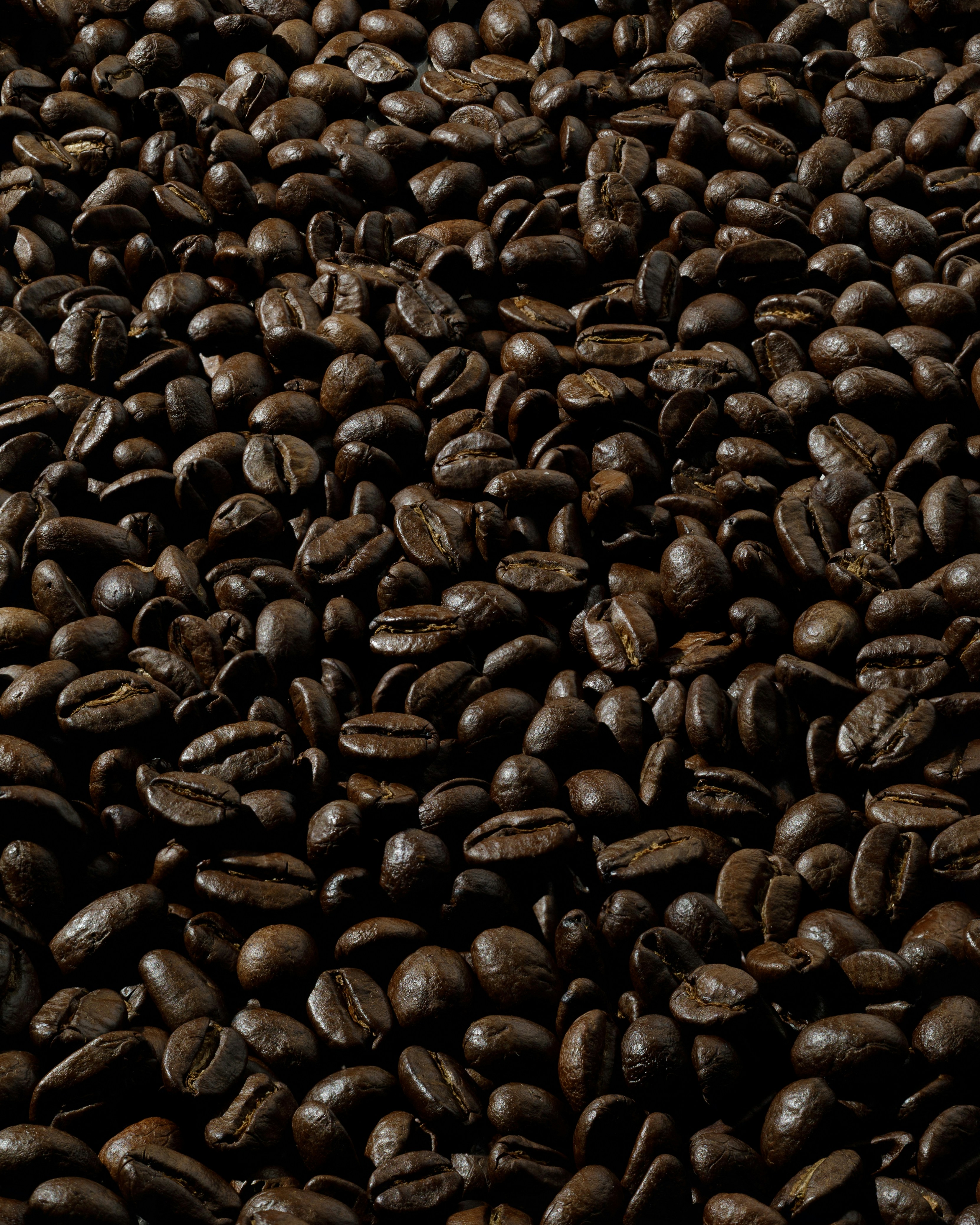 Coffee Design Pictures | Download Free Images on Unsplash