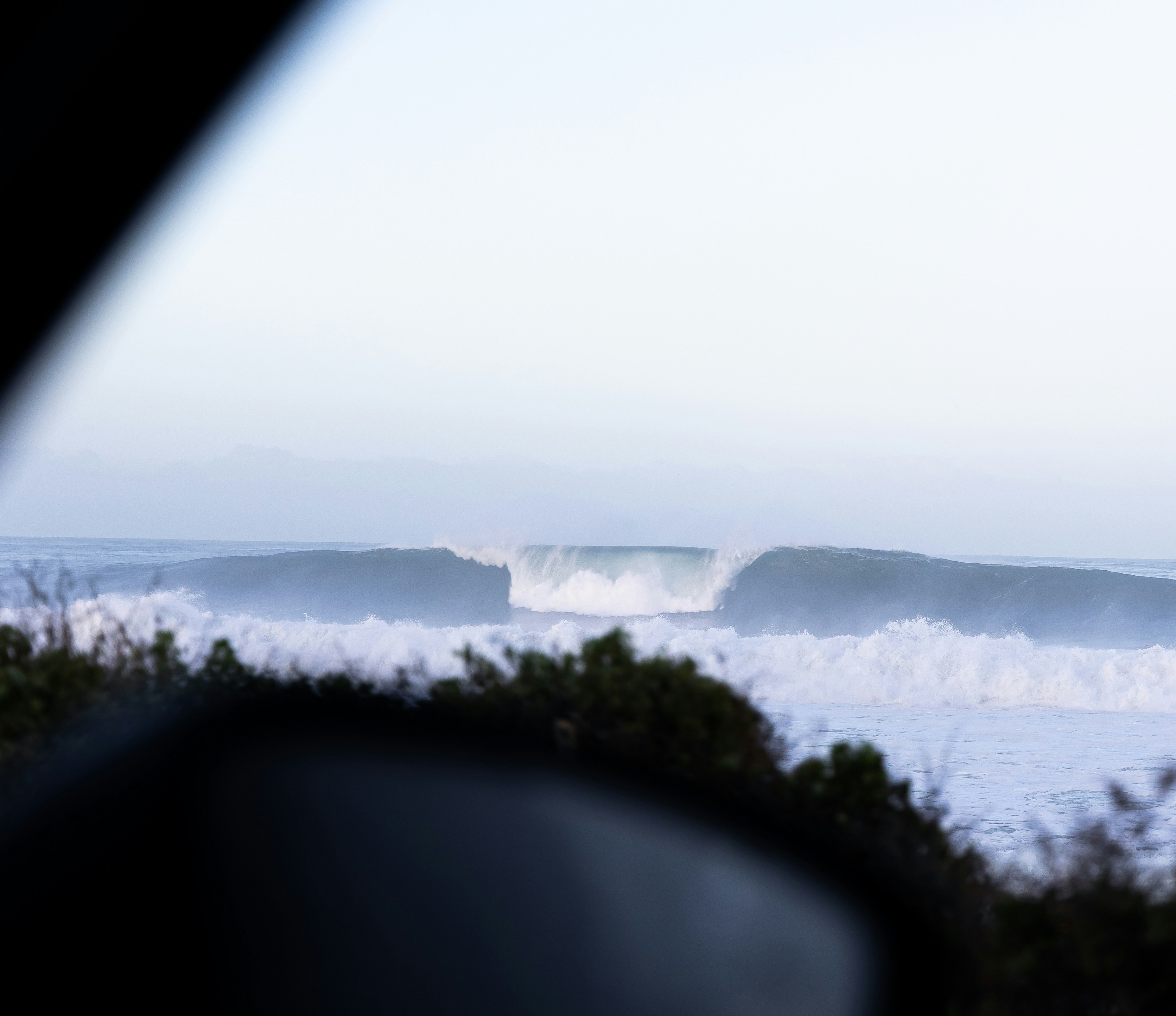 Rolling waves crashing against the shore, framed by coastal vegetation and a hint of morning light.