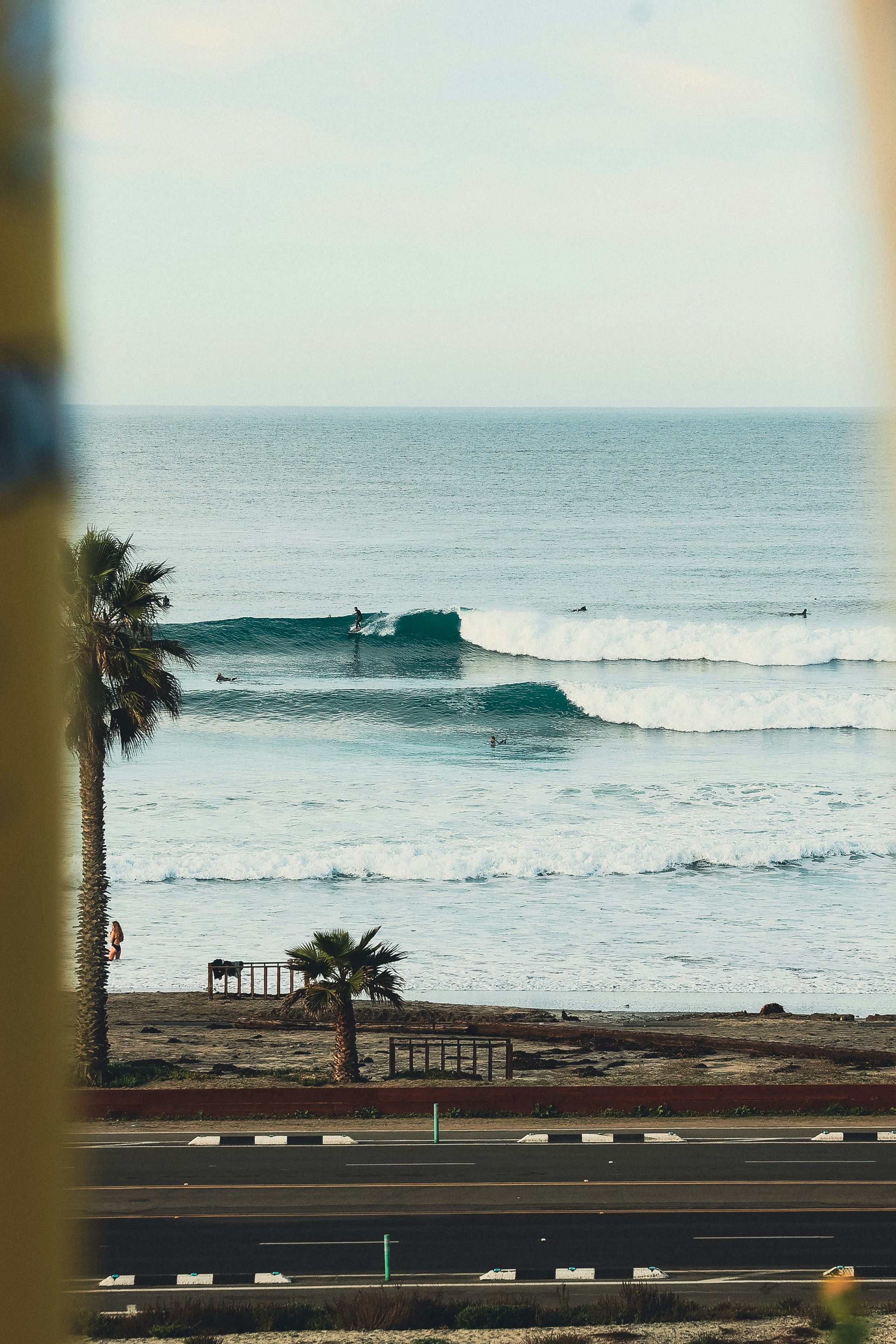 Coastal Corridor: Waves, Palm, and Roadside Calm