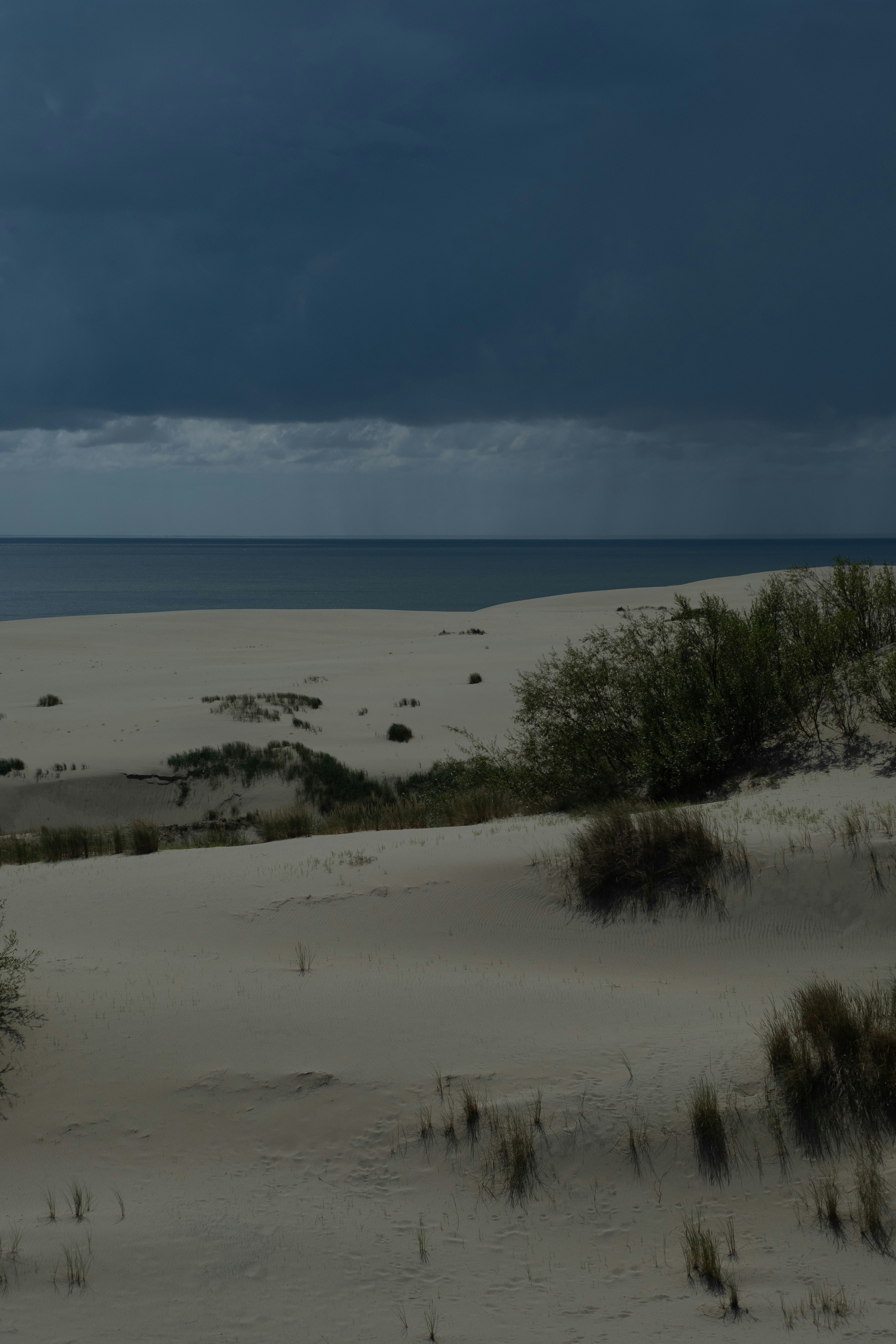 Storm-Lined Dunes: Green Patches and a Distant Sea Horizon