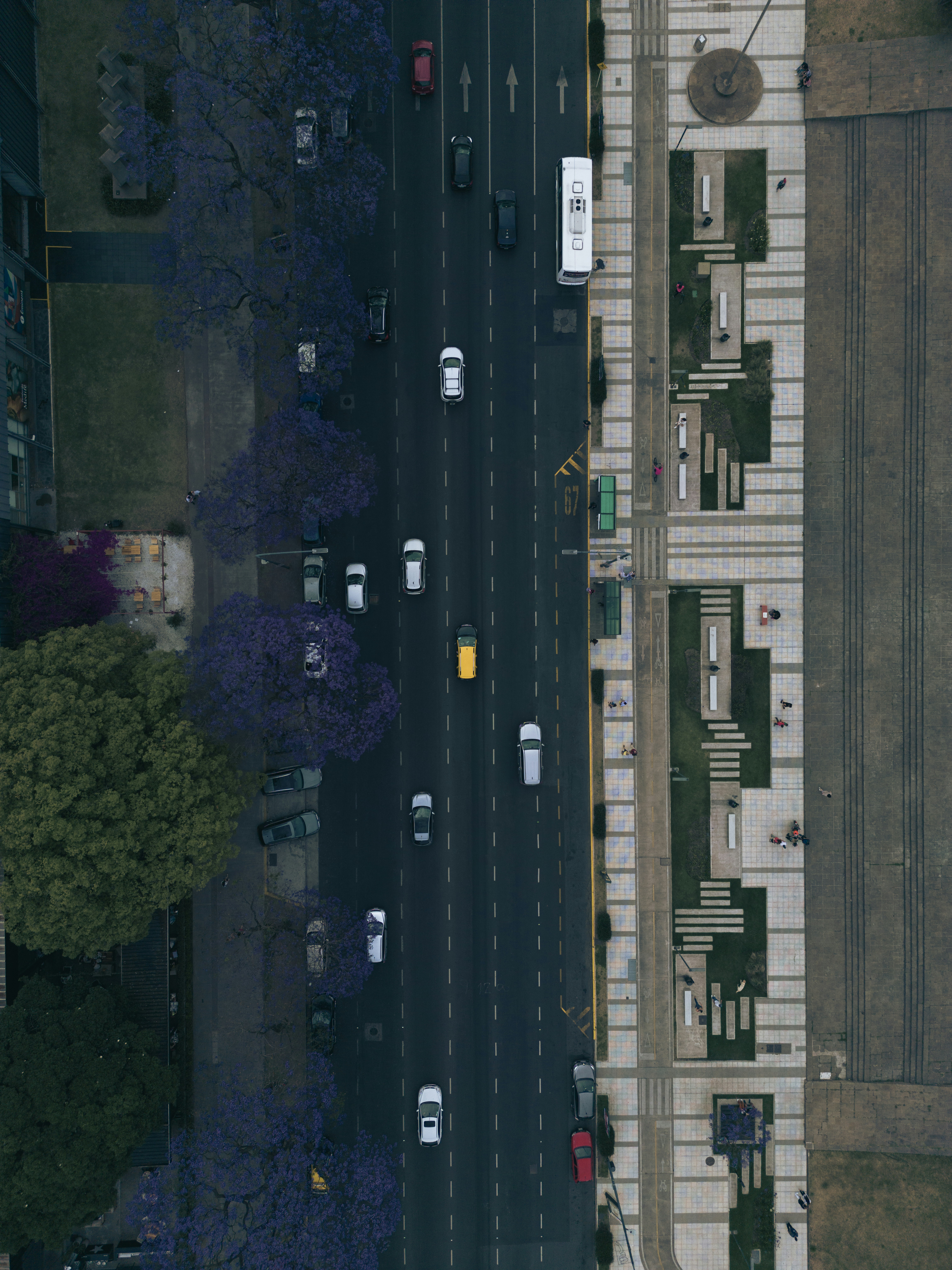 Purple Canopy Over the City Spine: Aerial Traffic and Rails