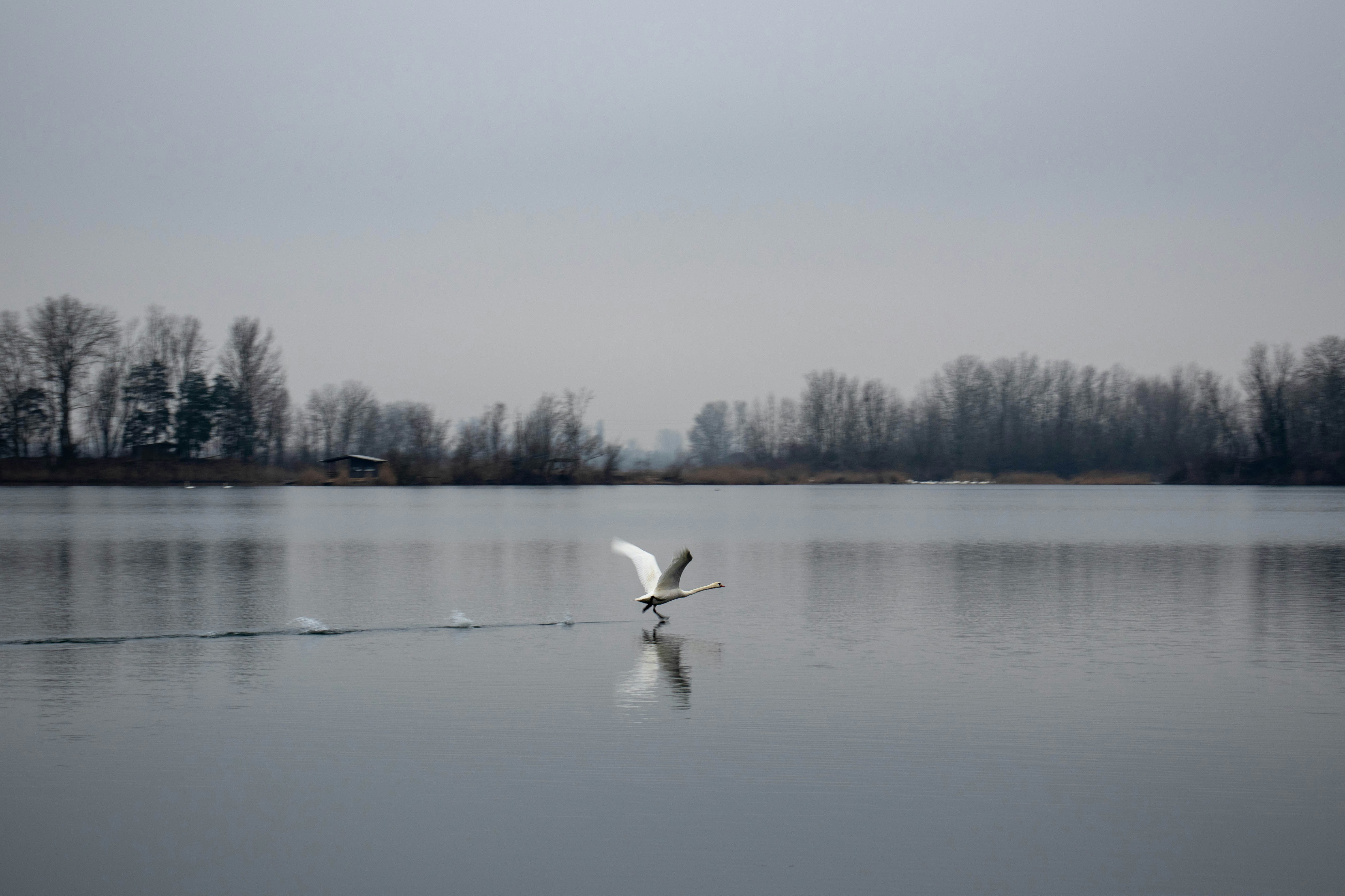 Photo by Ivona Rož with Canon EOS 77D