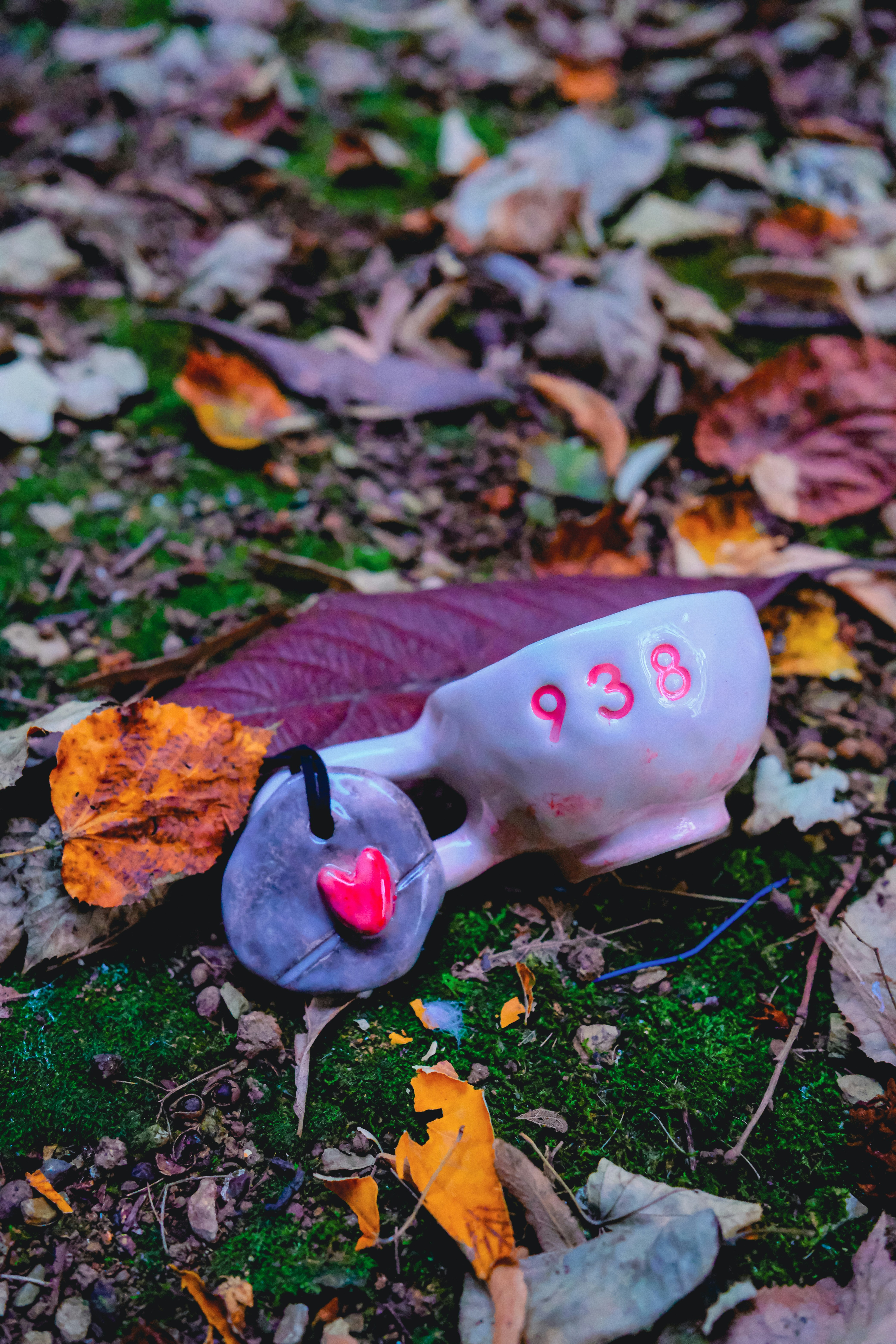 a toy is laying on the ground in the leaves