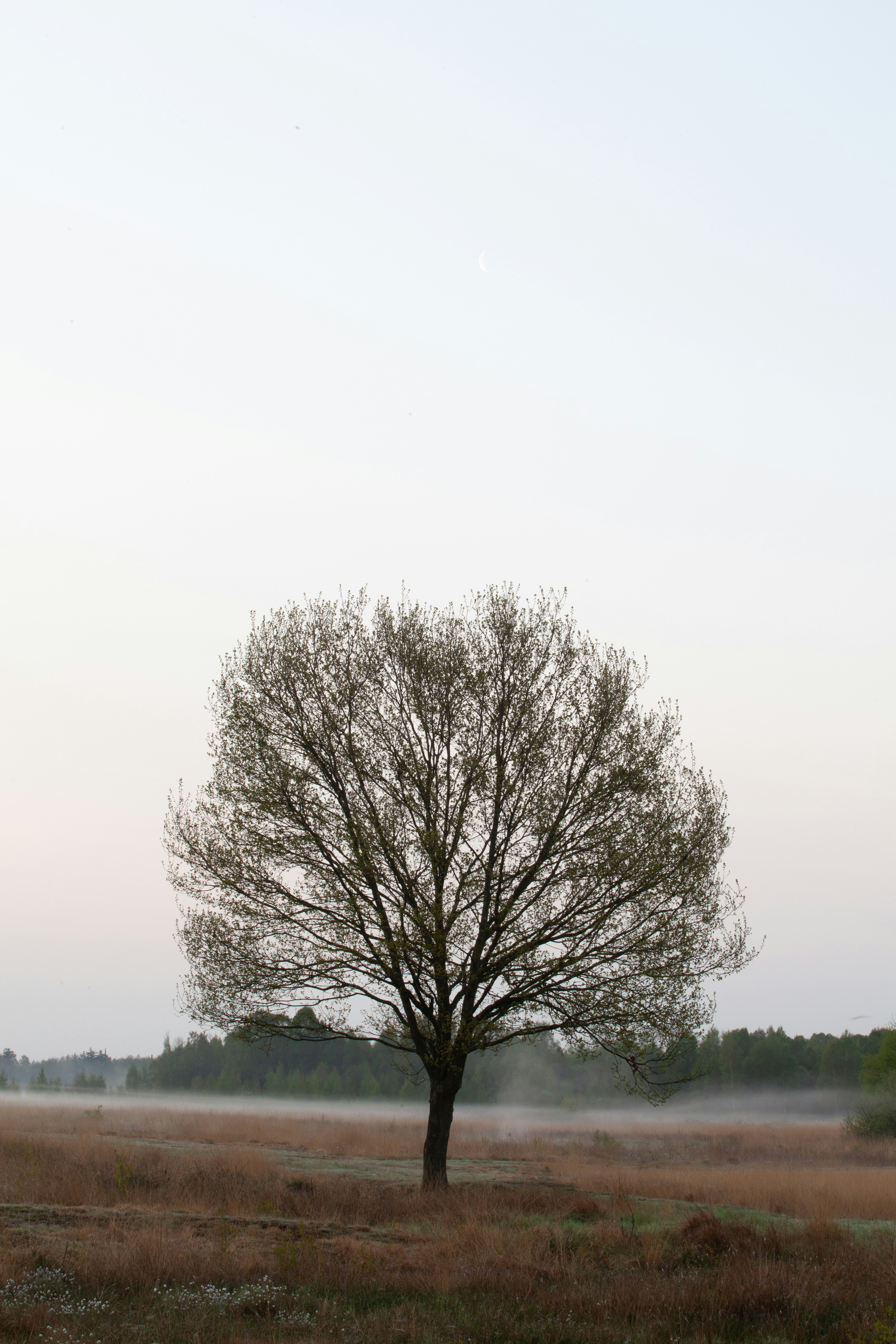 Photo by Daniel Boberg with Canon EOS 5D Mark II