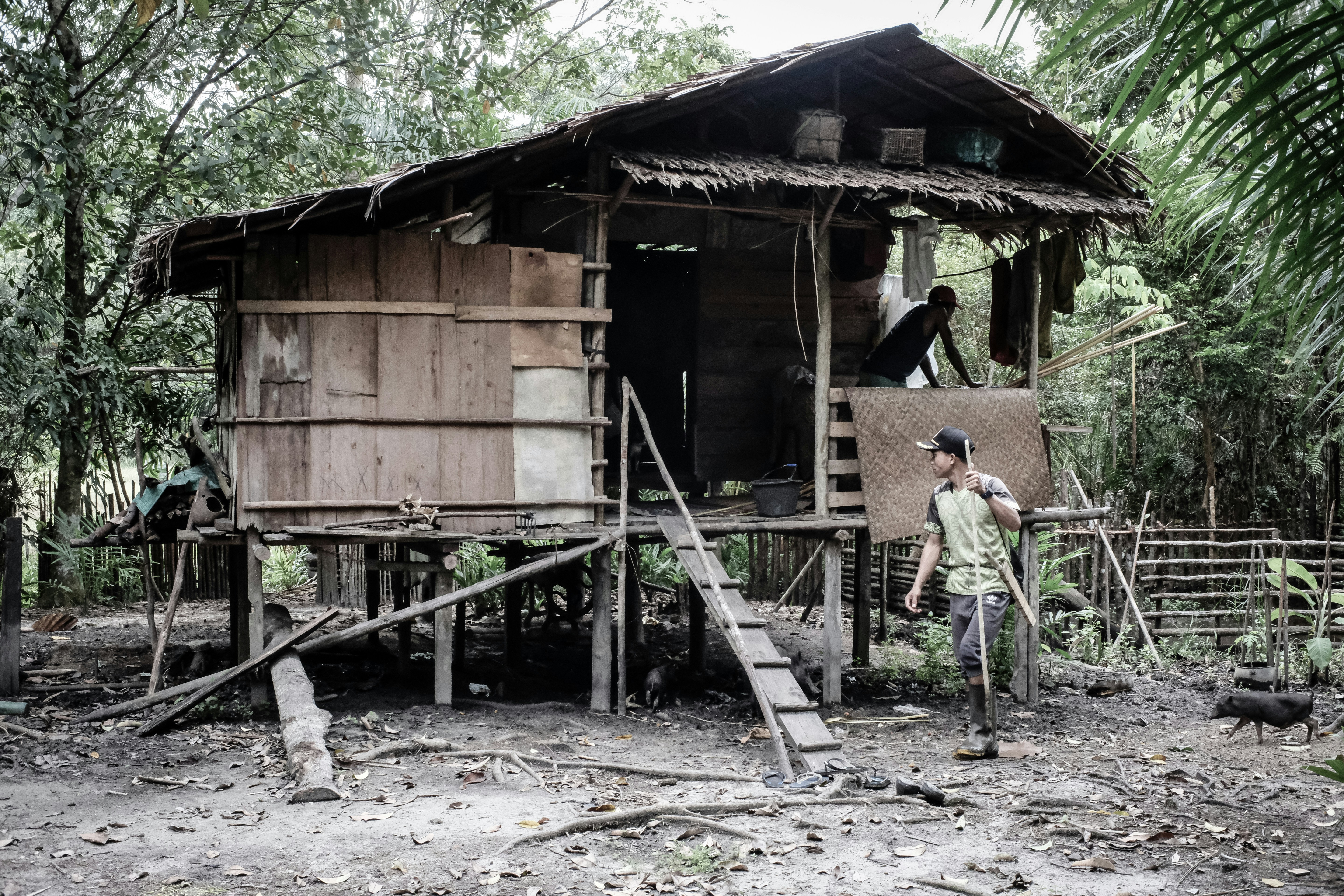 A man standing in front of a shack in the woods photo – Free Sintang ...