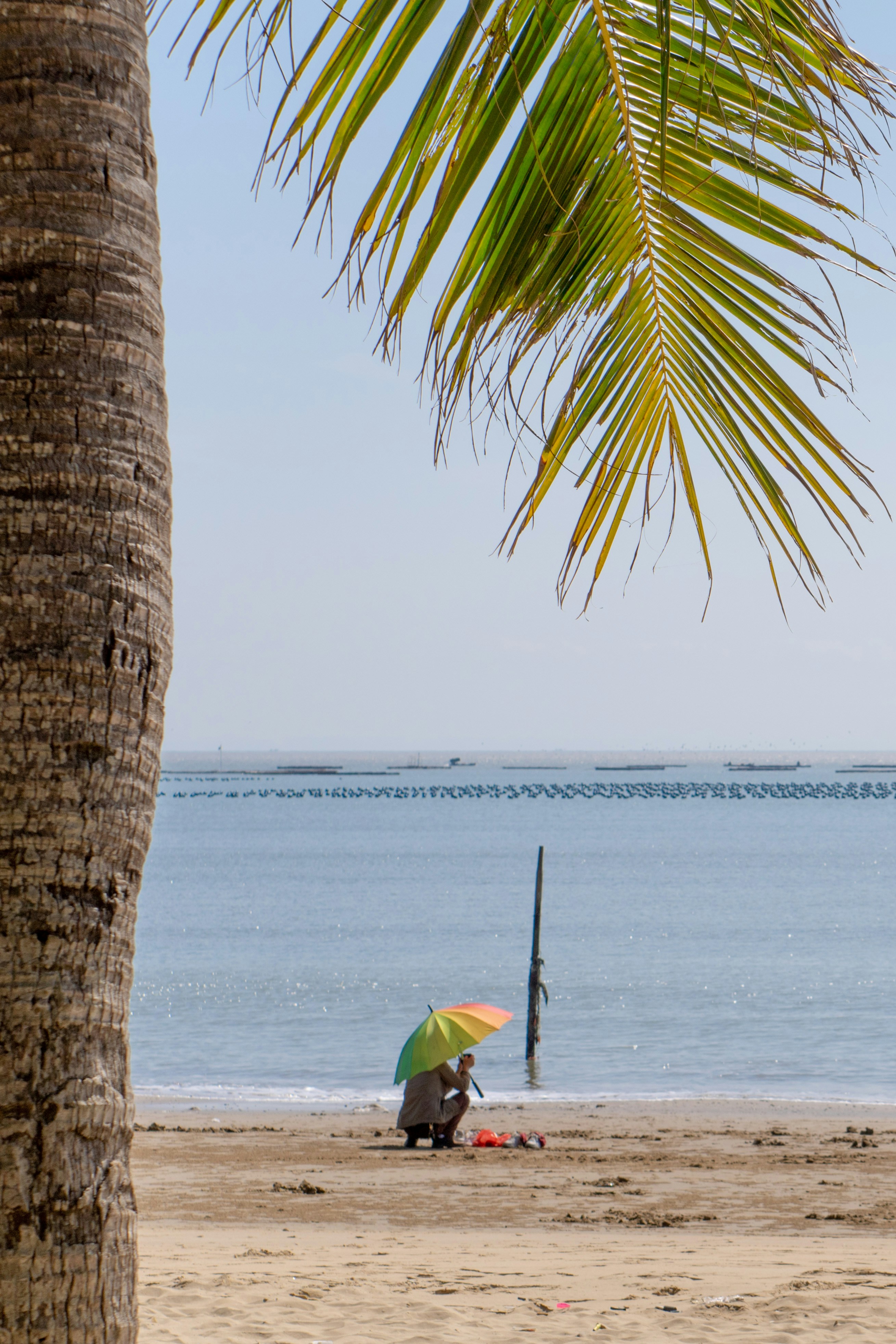 a person sitting under an umbrella on a beach