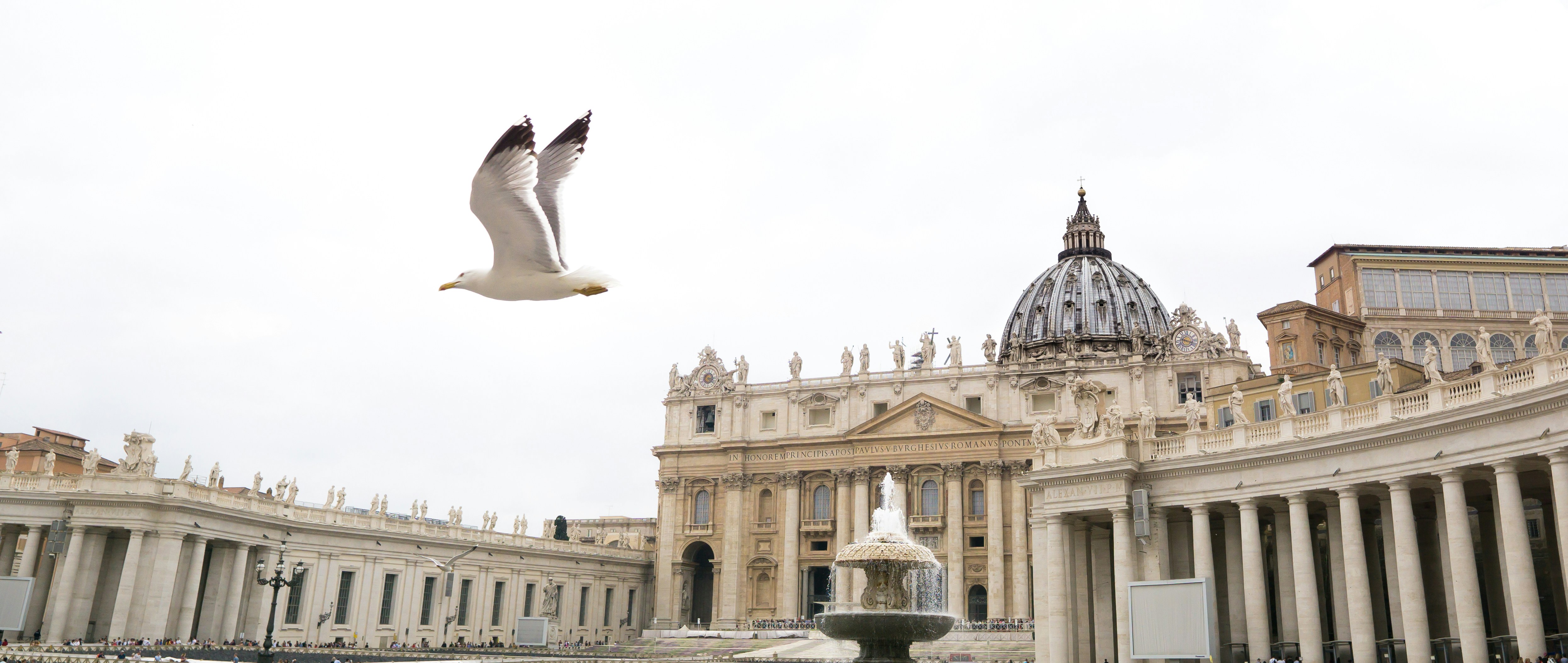 Wingbeat over Vatican Piazza: Seagull Above St. Peter's Fountain