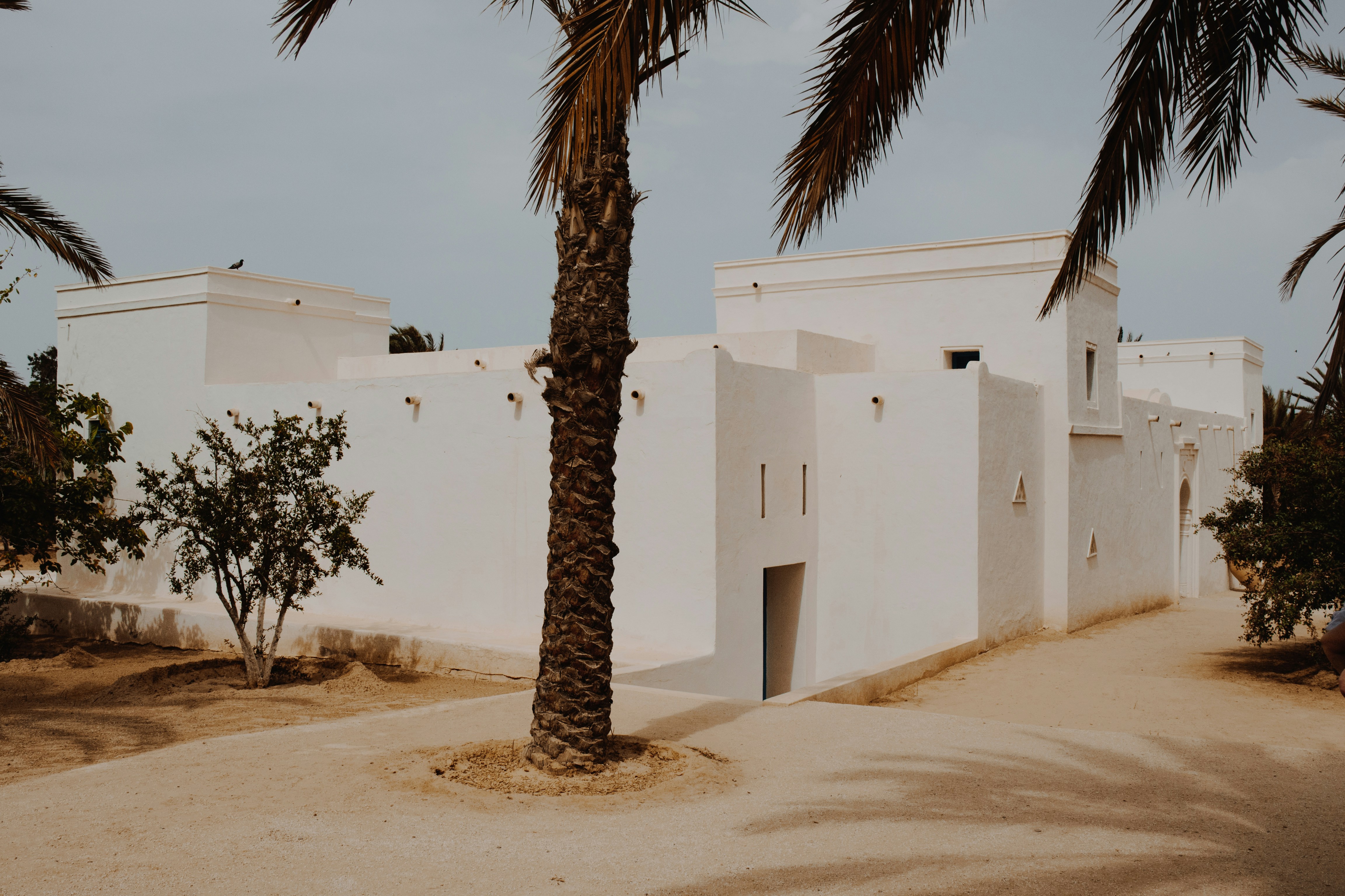 Photo by Emilie Durand with Nikon D3100