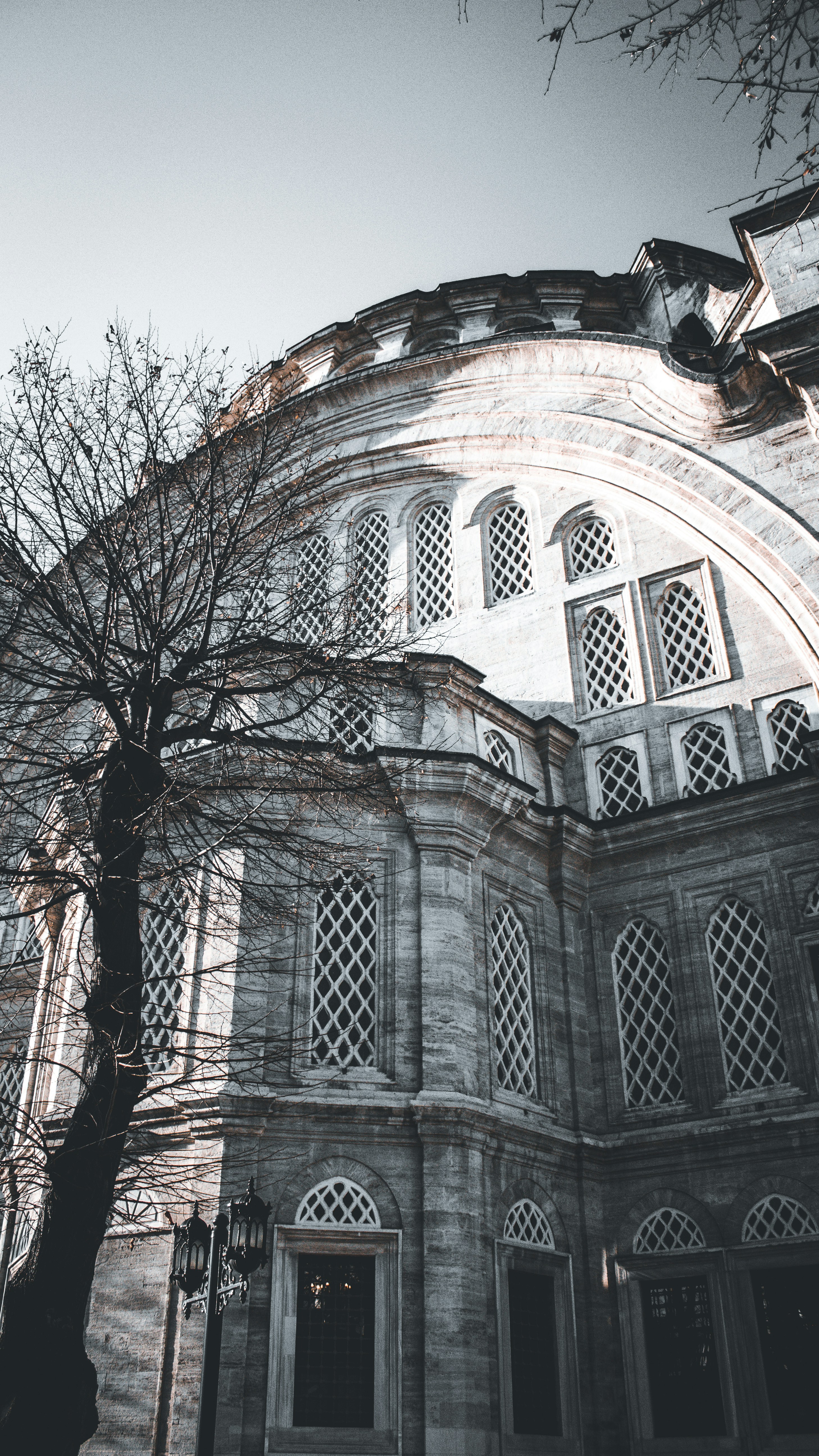 Arched Echoes: Winter Light on a Historic Facade