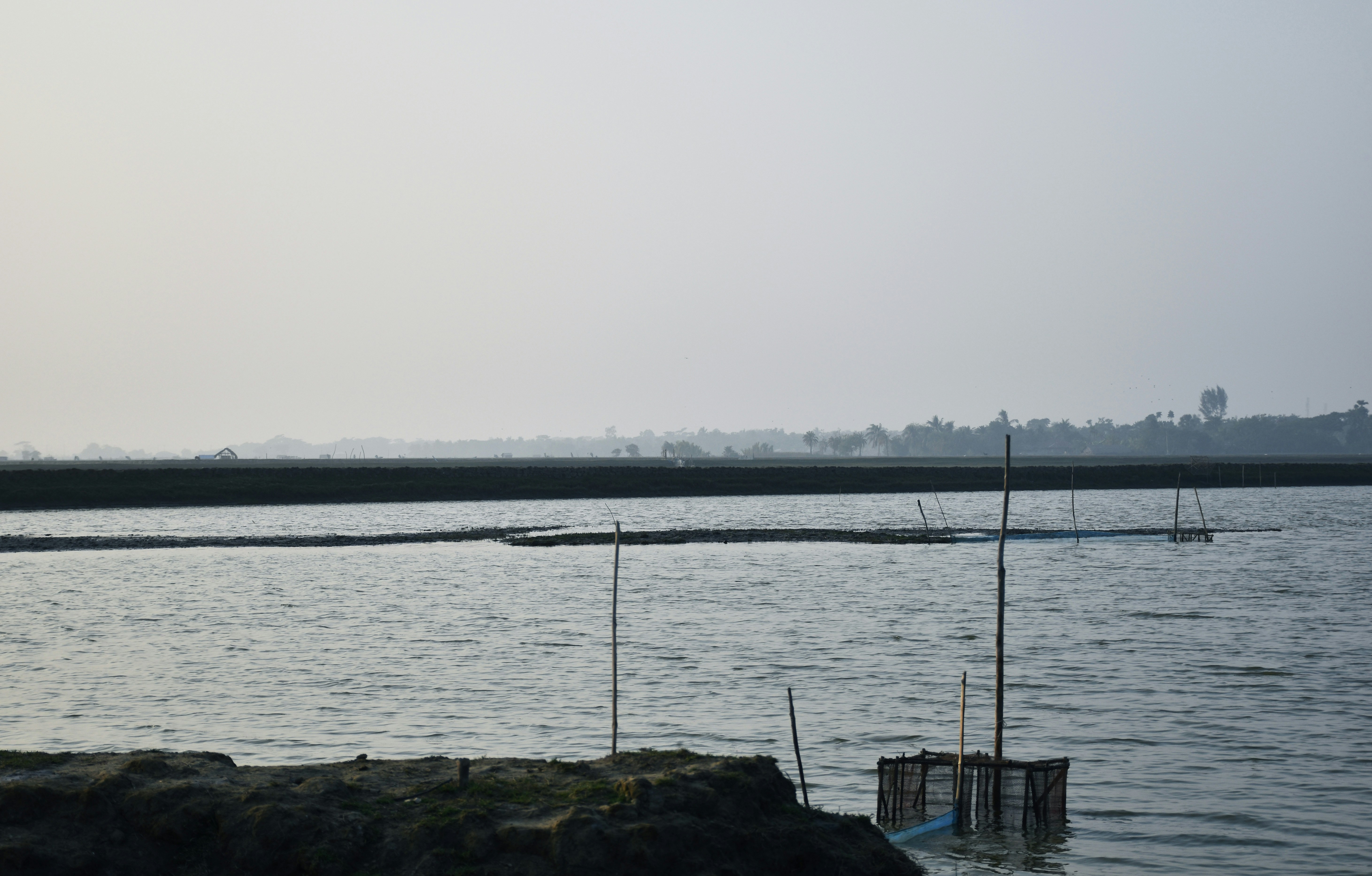 Calm river with a distant boat framed by serene mangrove surroundings.