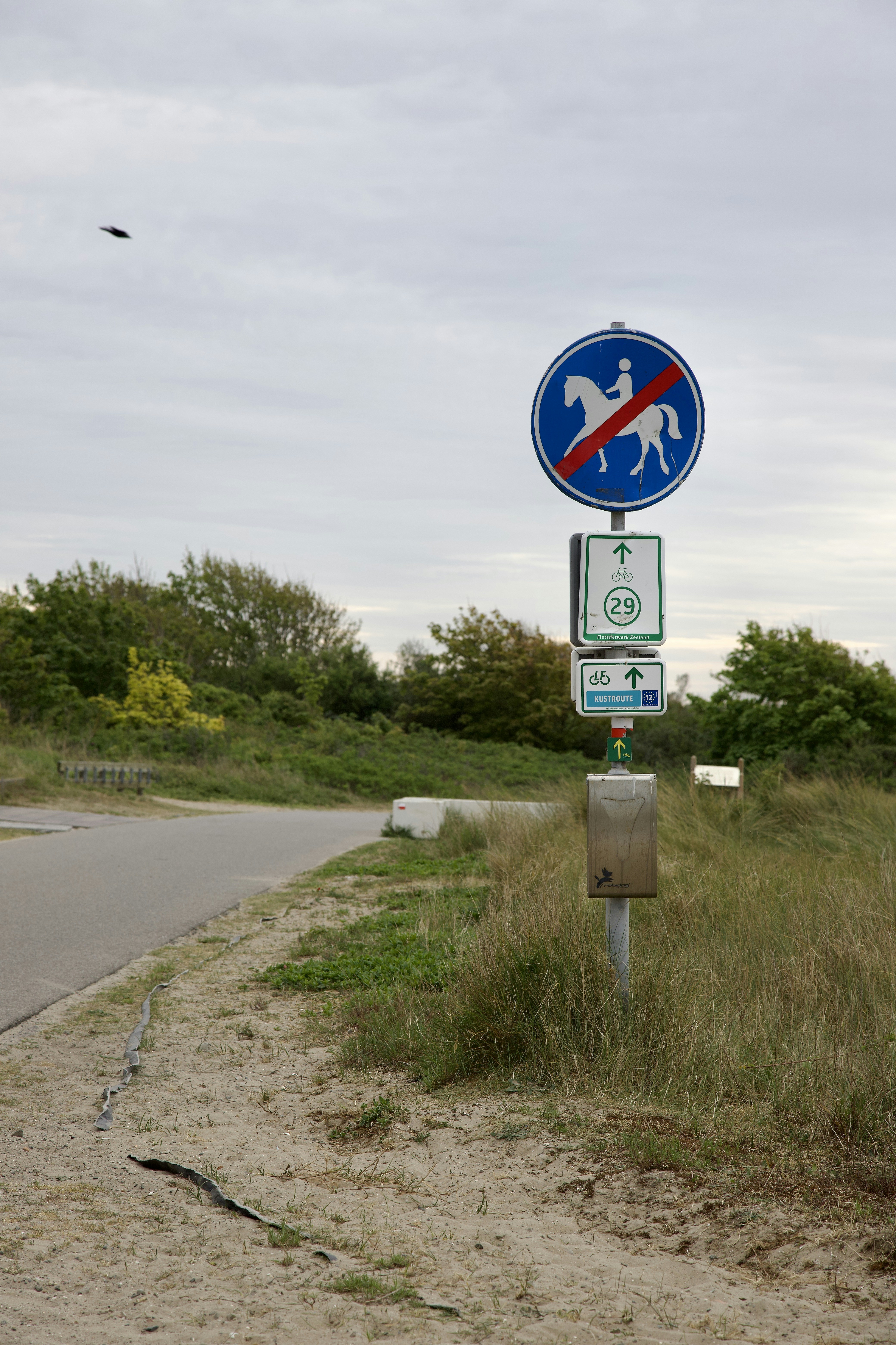 Signpost Sentinel by the Winding Road