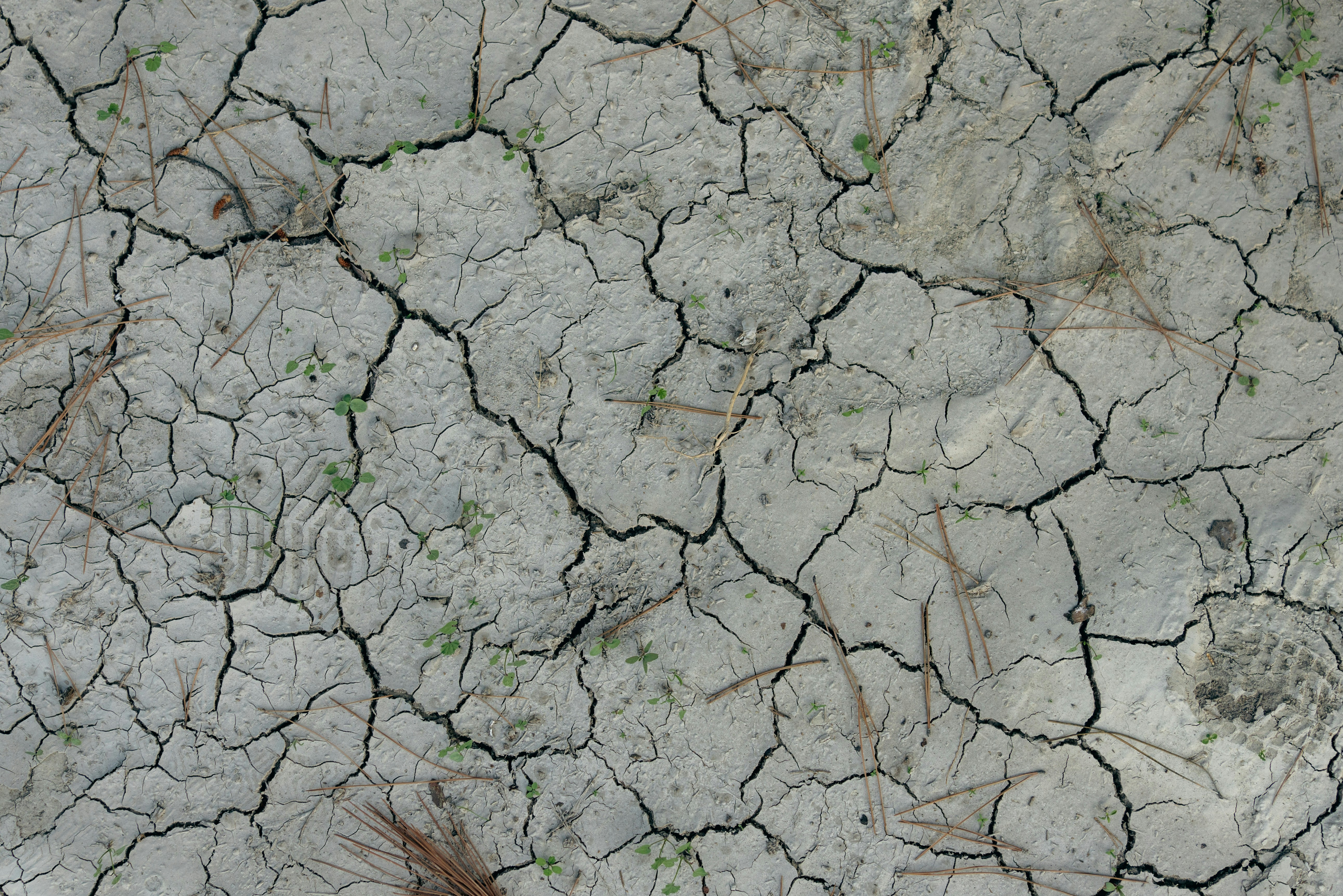 a close up of a cracked surface with grass growing on it