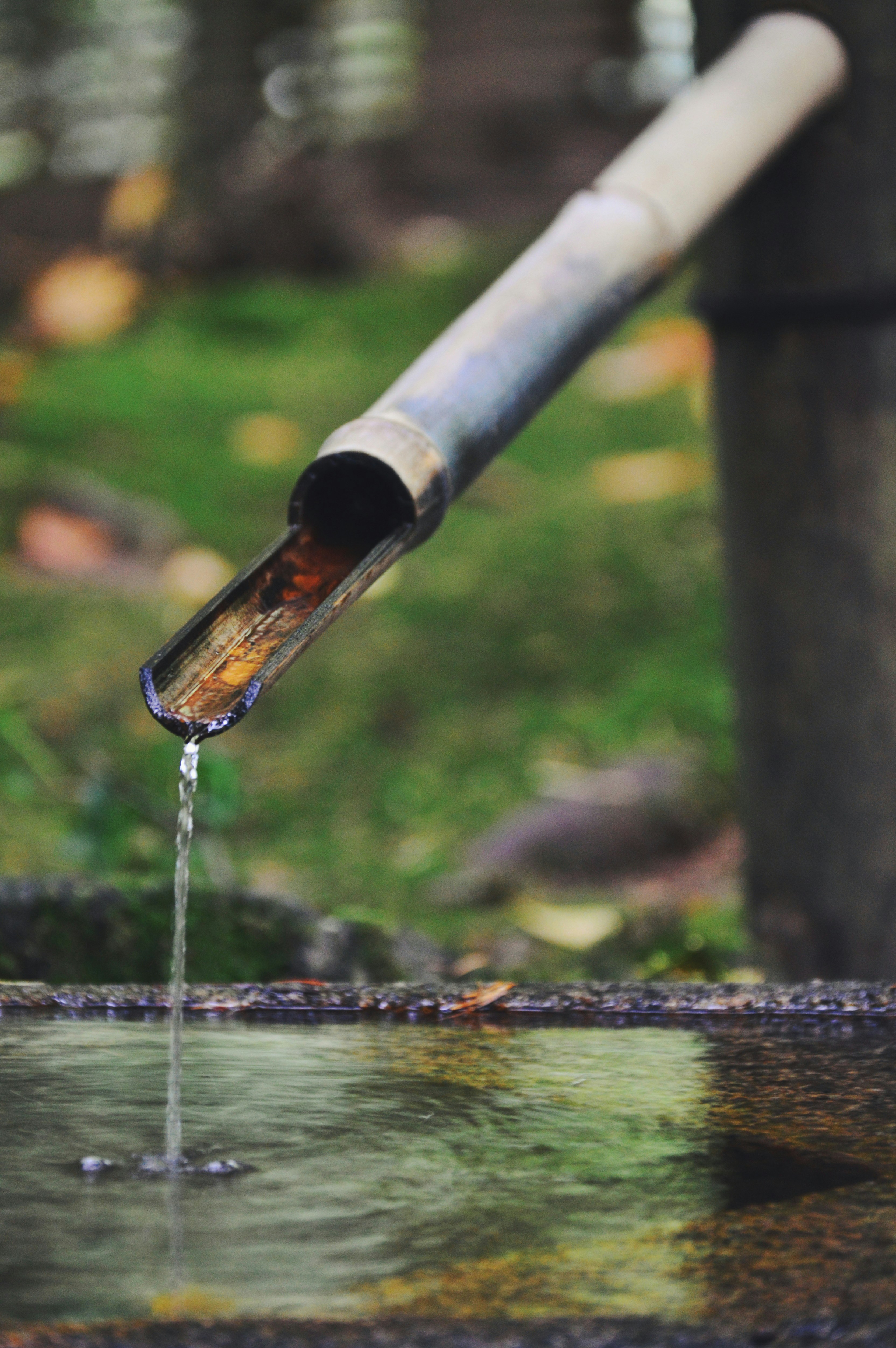 A pipe pouring water into a puddle of water photo – Free Portland Image ...