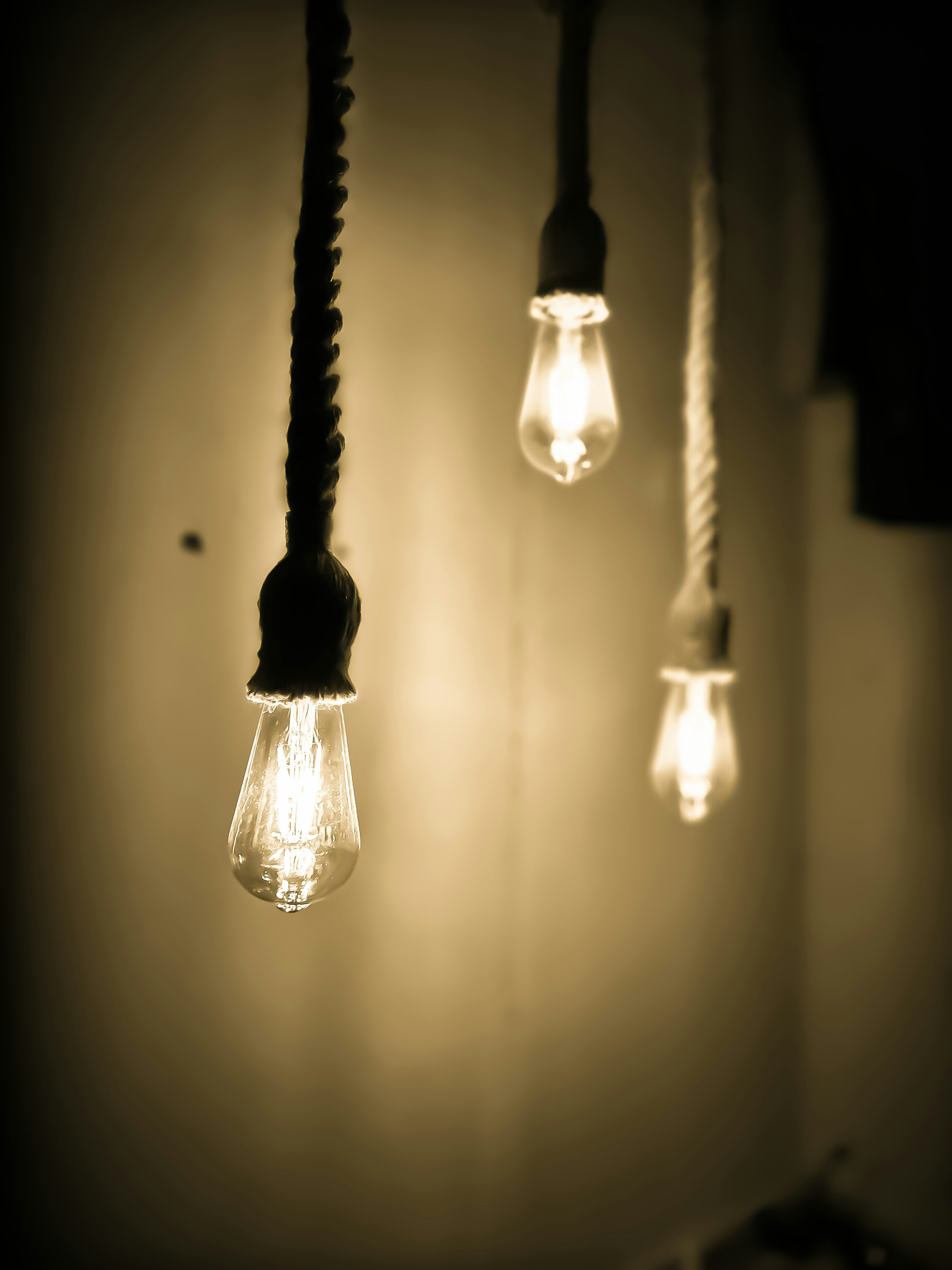 A group of light bulbs hanging from a ceiling photo – Free Light Image ...