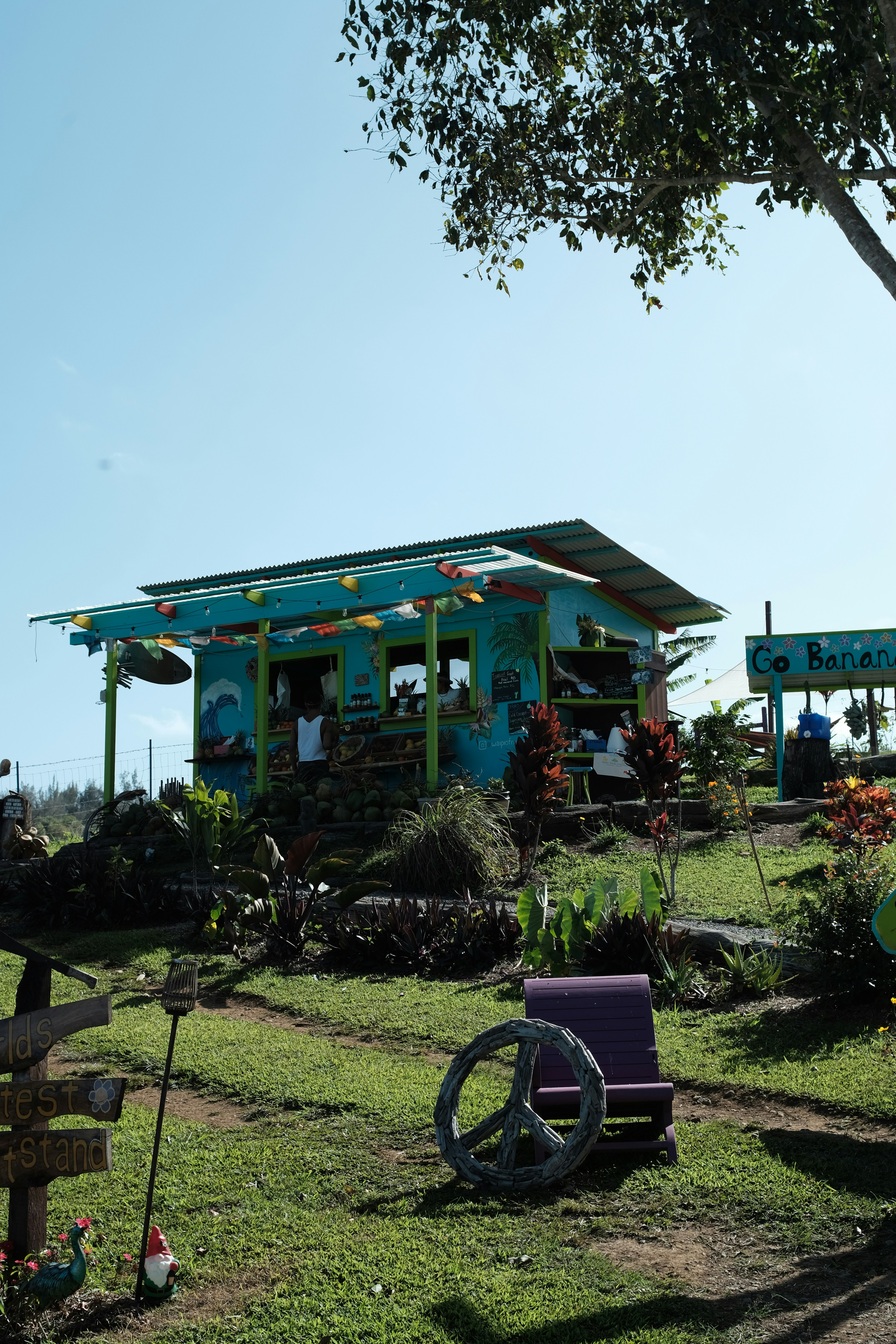 Go Bananas Stand: A Turquoise Hilltop Café Surrounded by Tropical Whimsy