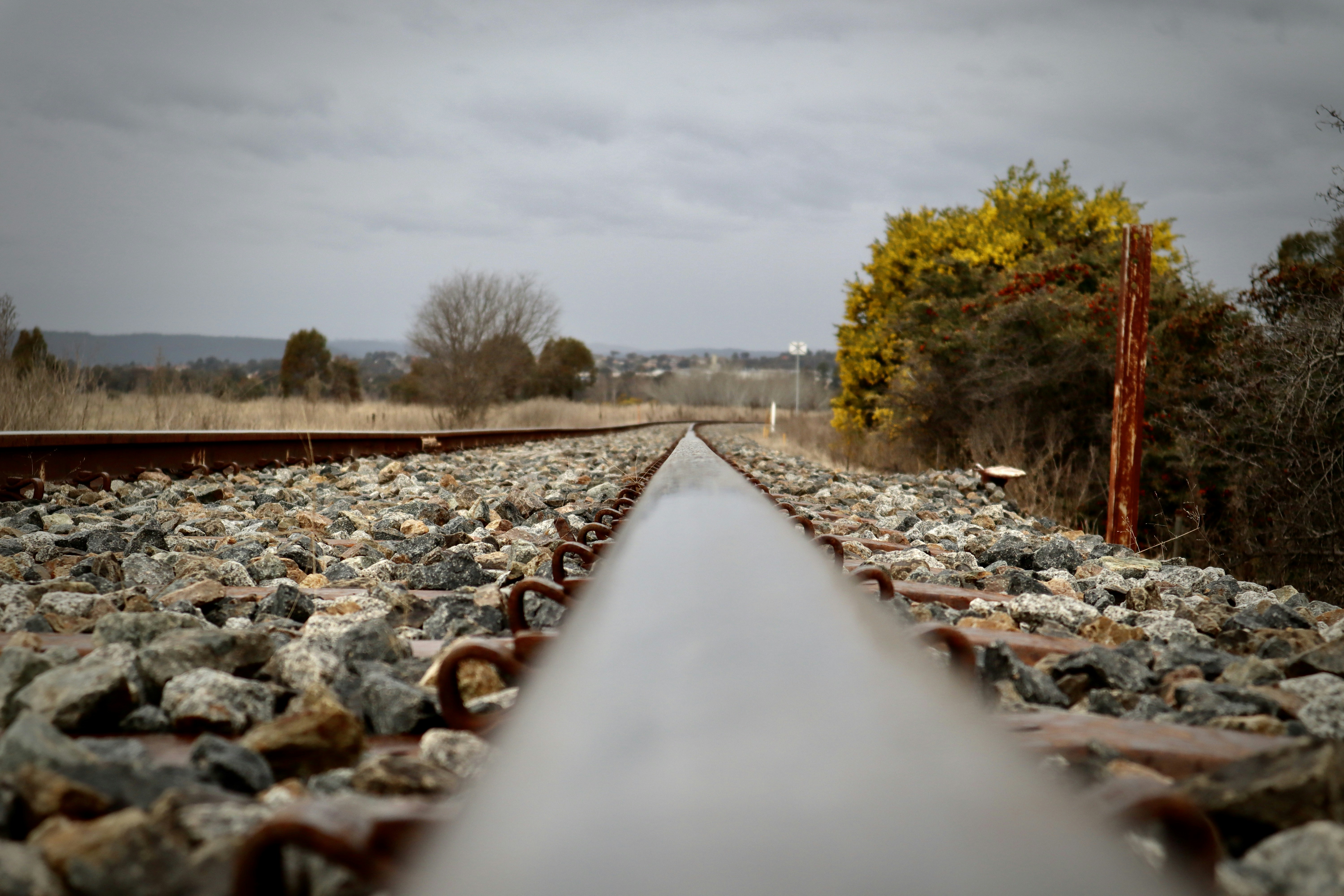 Vanishing Line: Ground-Level Journey Along a Lone Rail Toward the Autumn Horizon