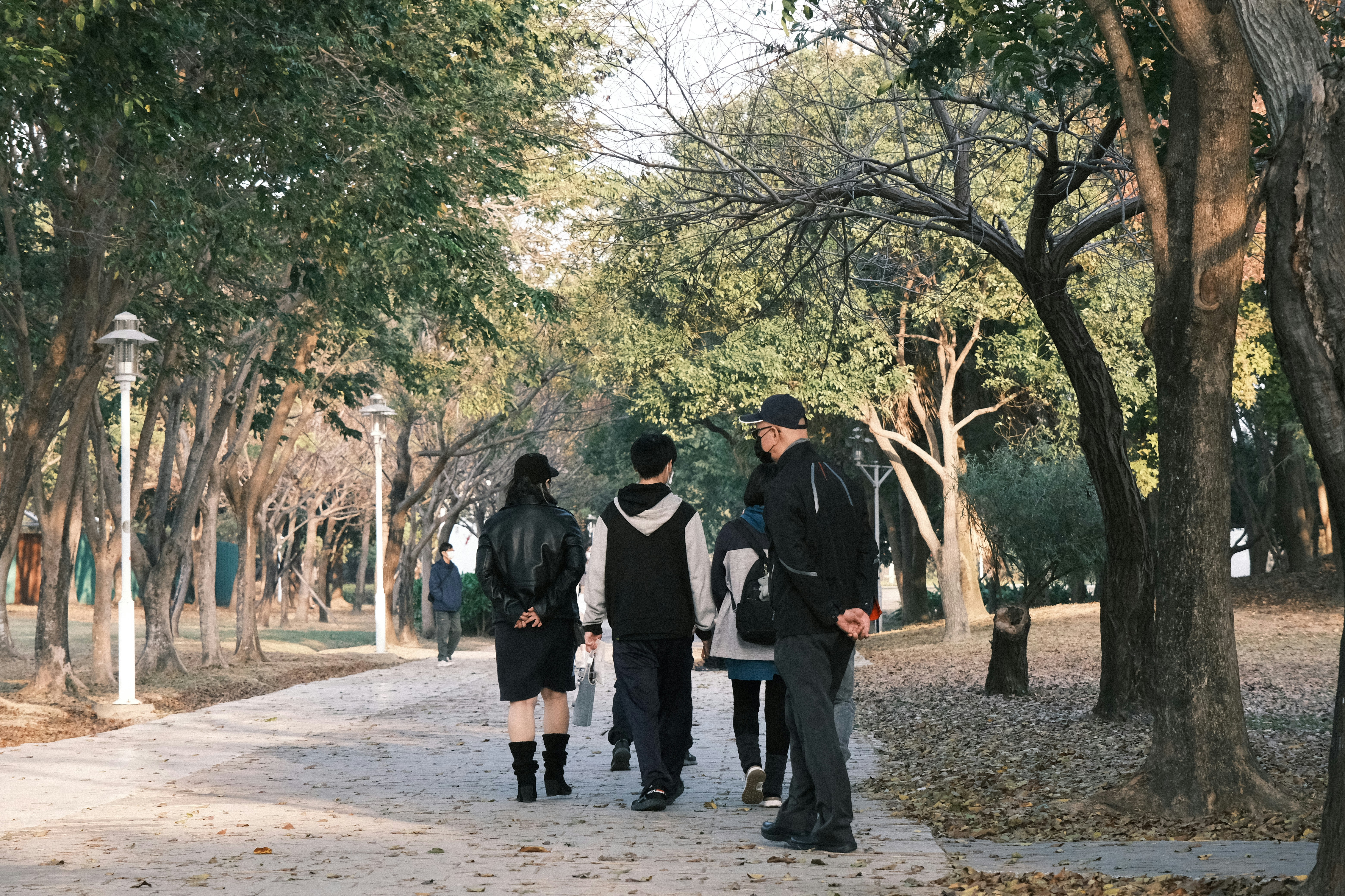 What are you guys looking for? | a group of people walking down a path in a park