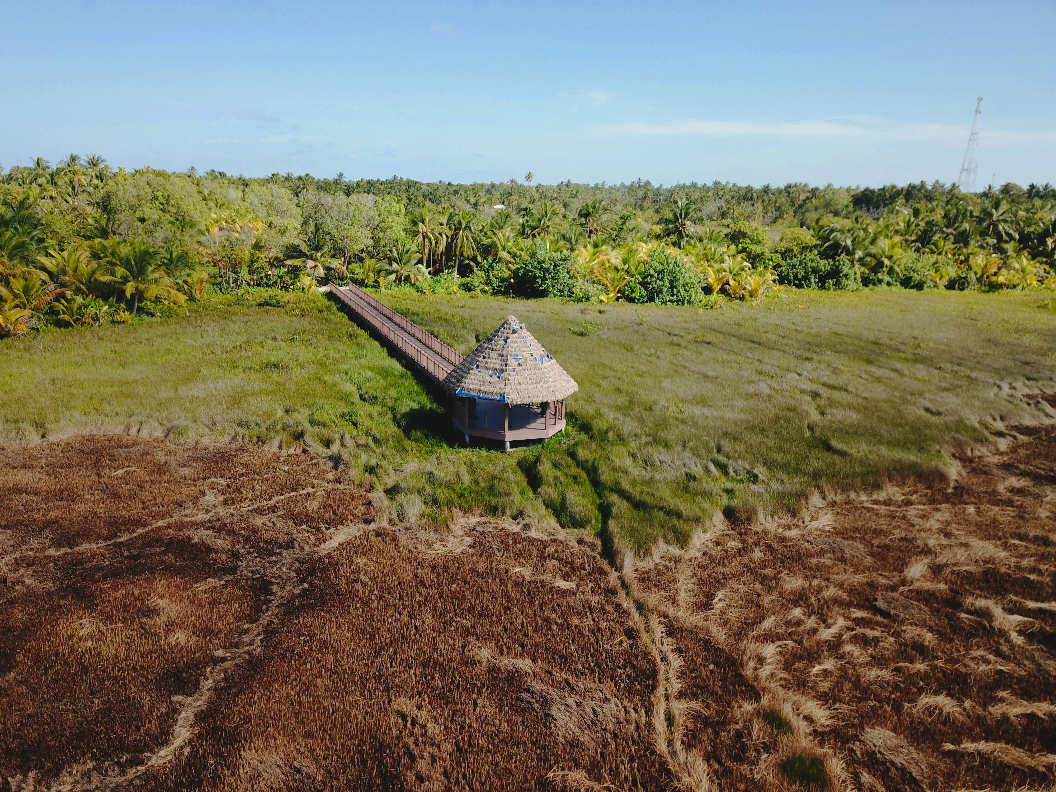 An aerial view of a small hut in the middle of a field photo – Free ...