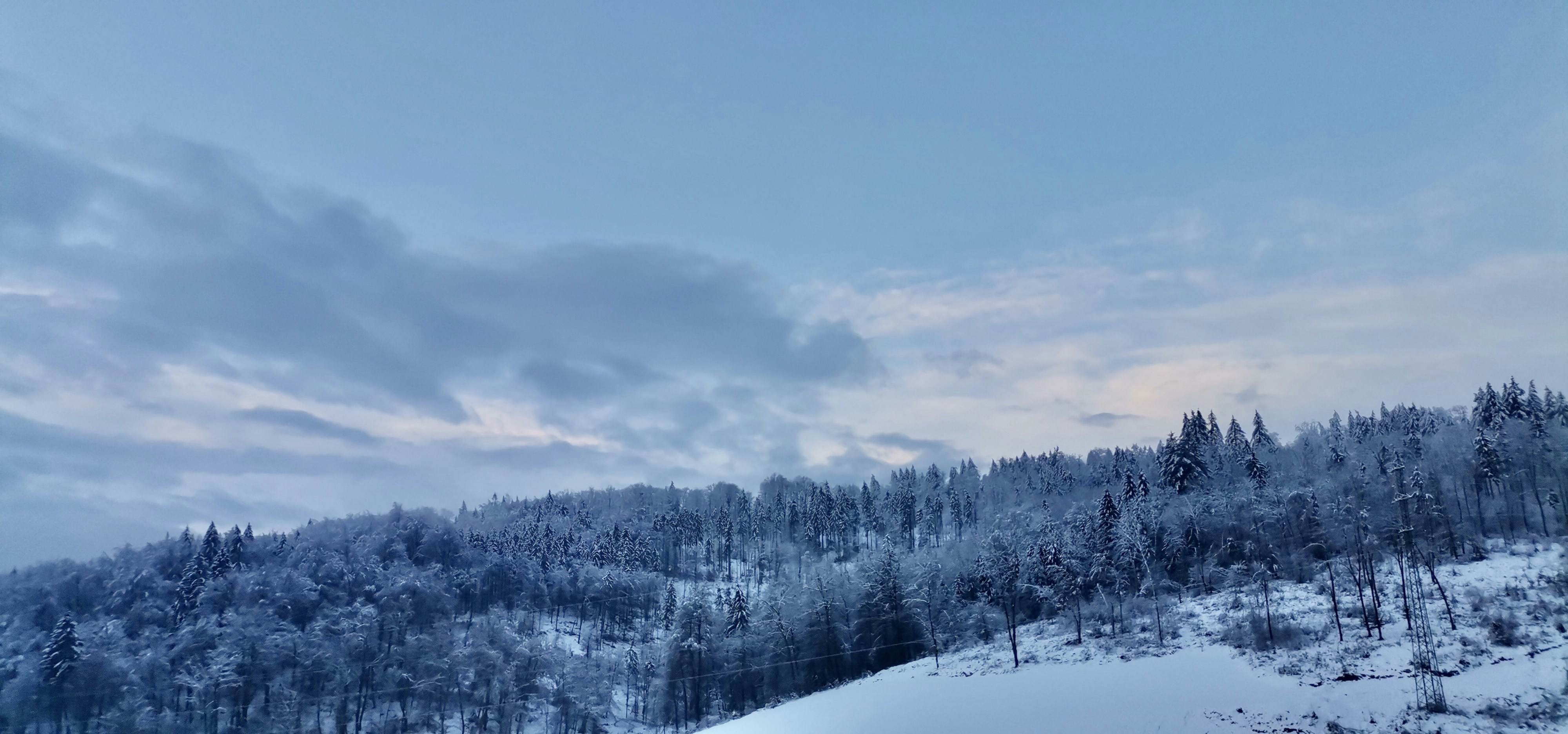 Snow-draped hillside with a backdrop of frosty trees under a soft, cloudy sky.