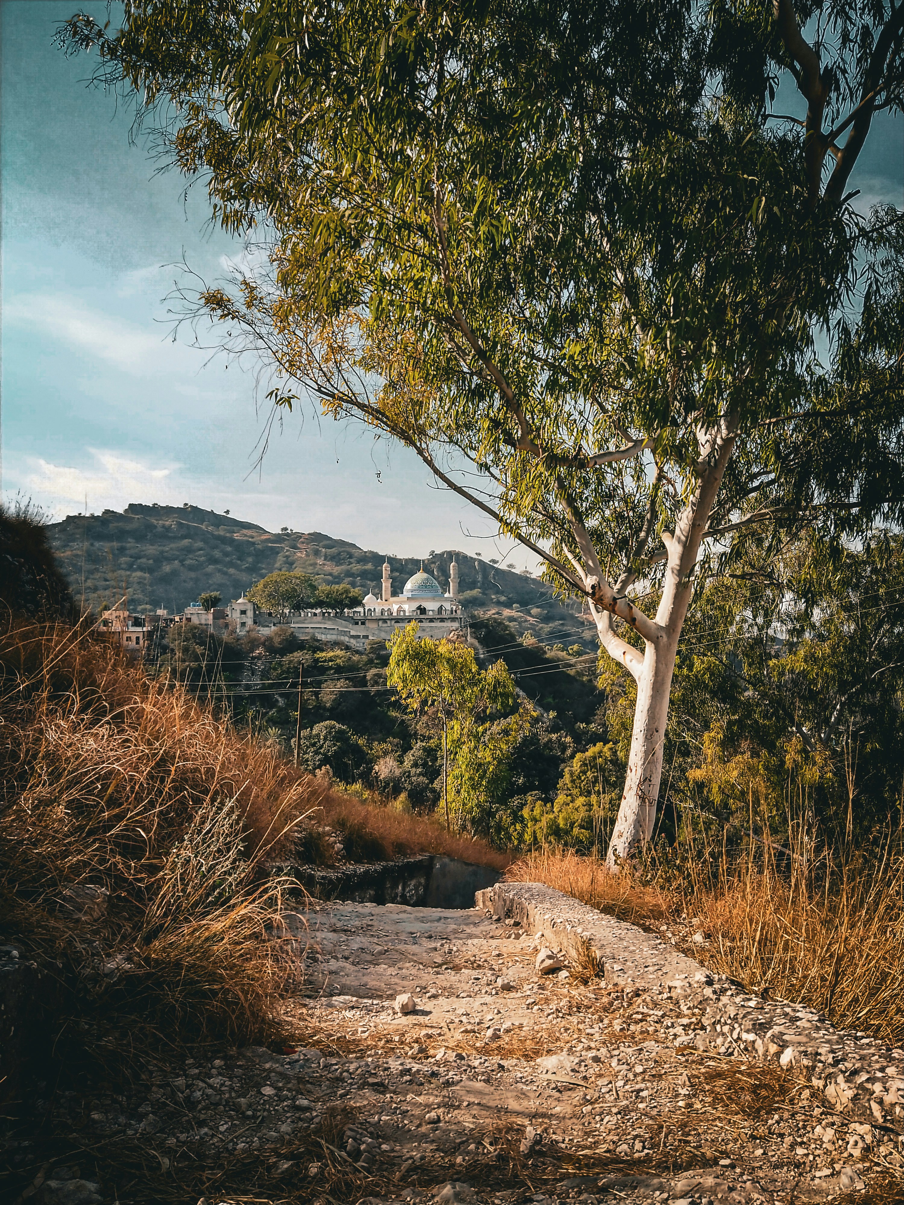 Vivo V2024 Sample Shots