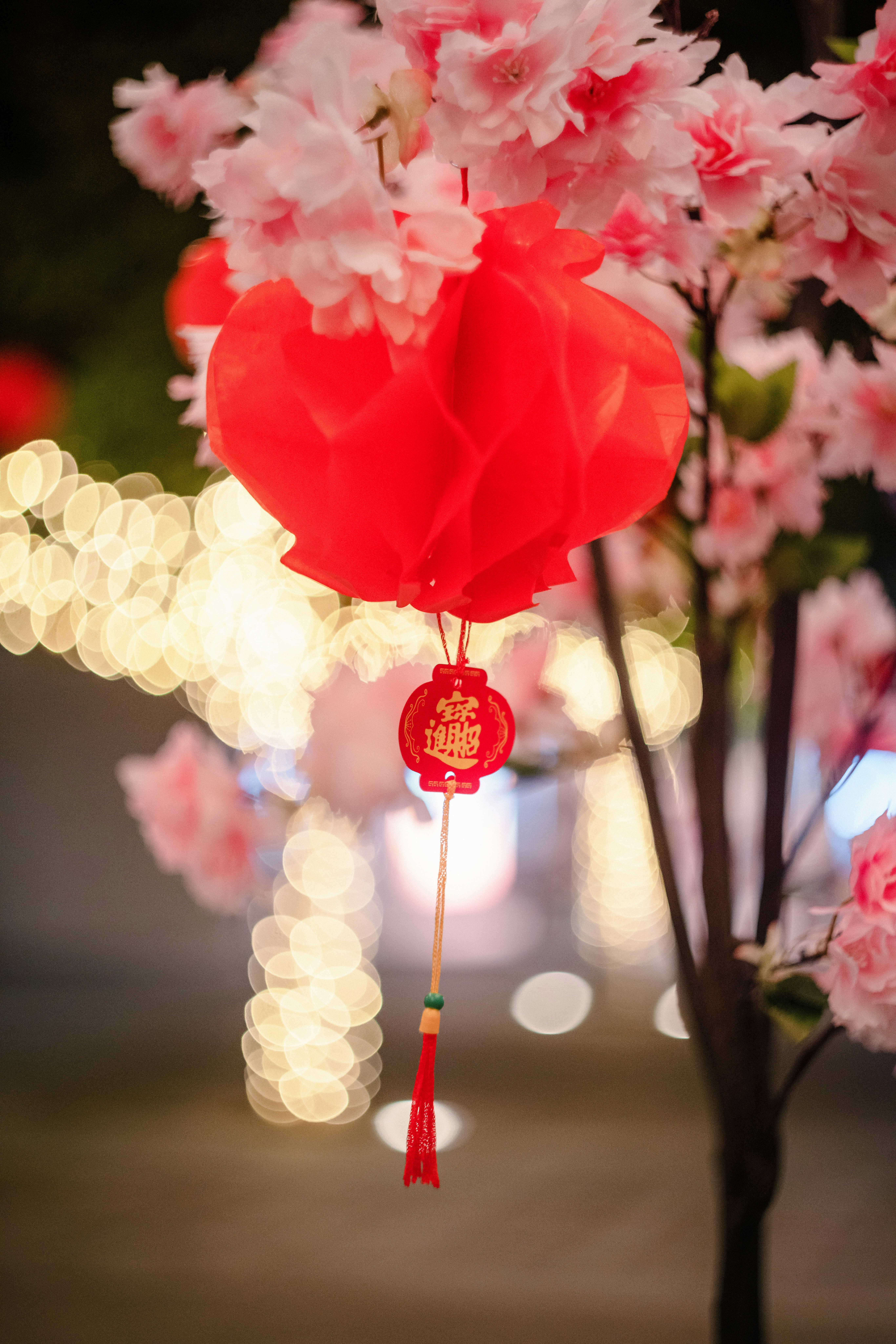 Photo by Jason Leung with Canon EOS R5