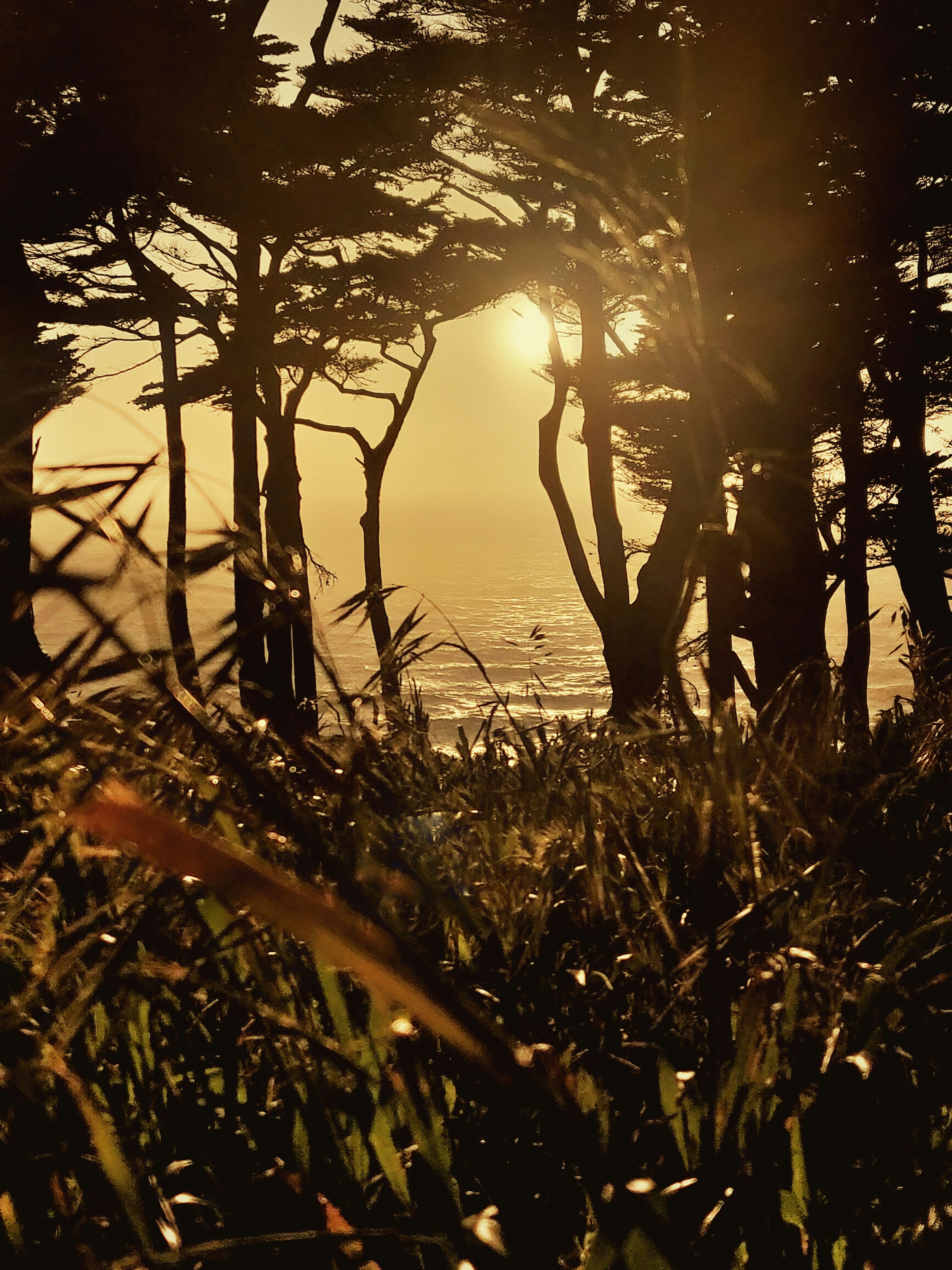 golden hour near golden gate trail.